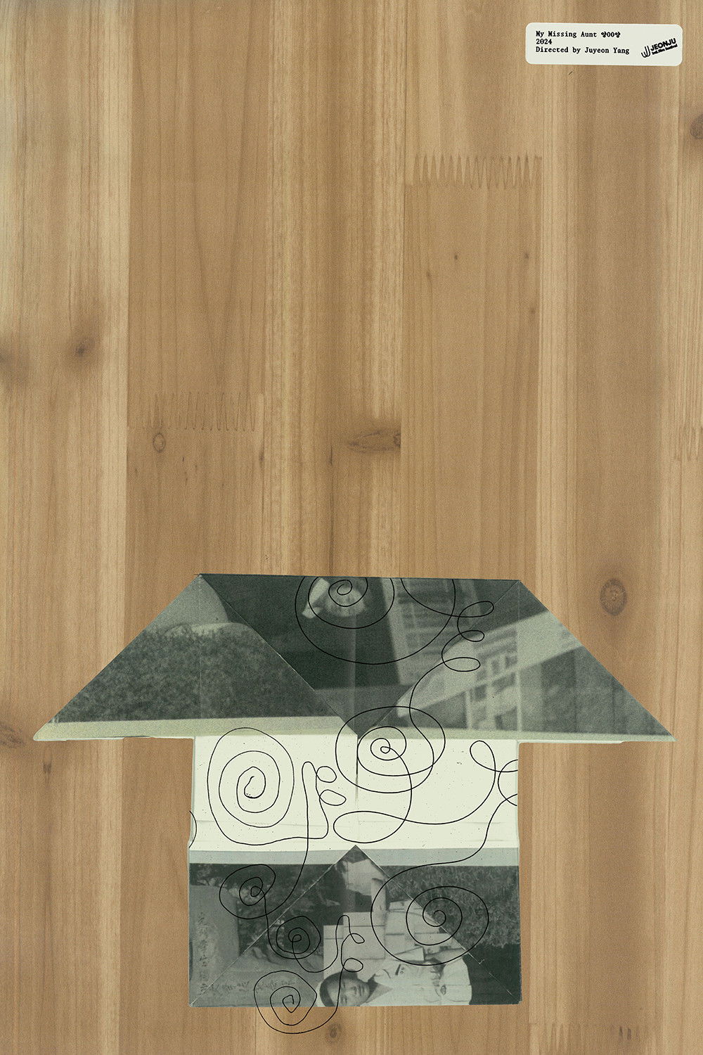 My Missing Aunt (2024) - Posters — The Movie Database (TMDB)