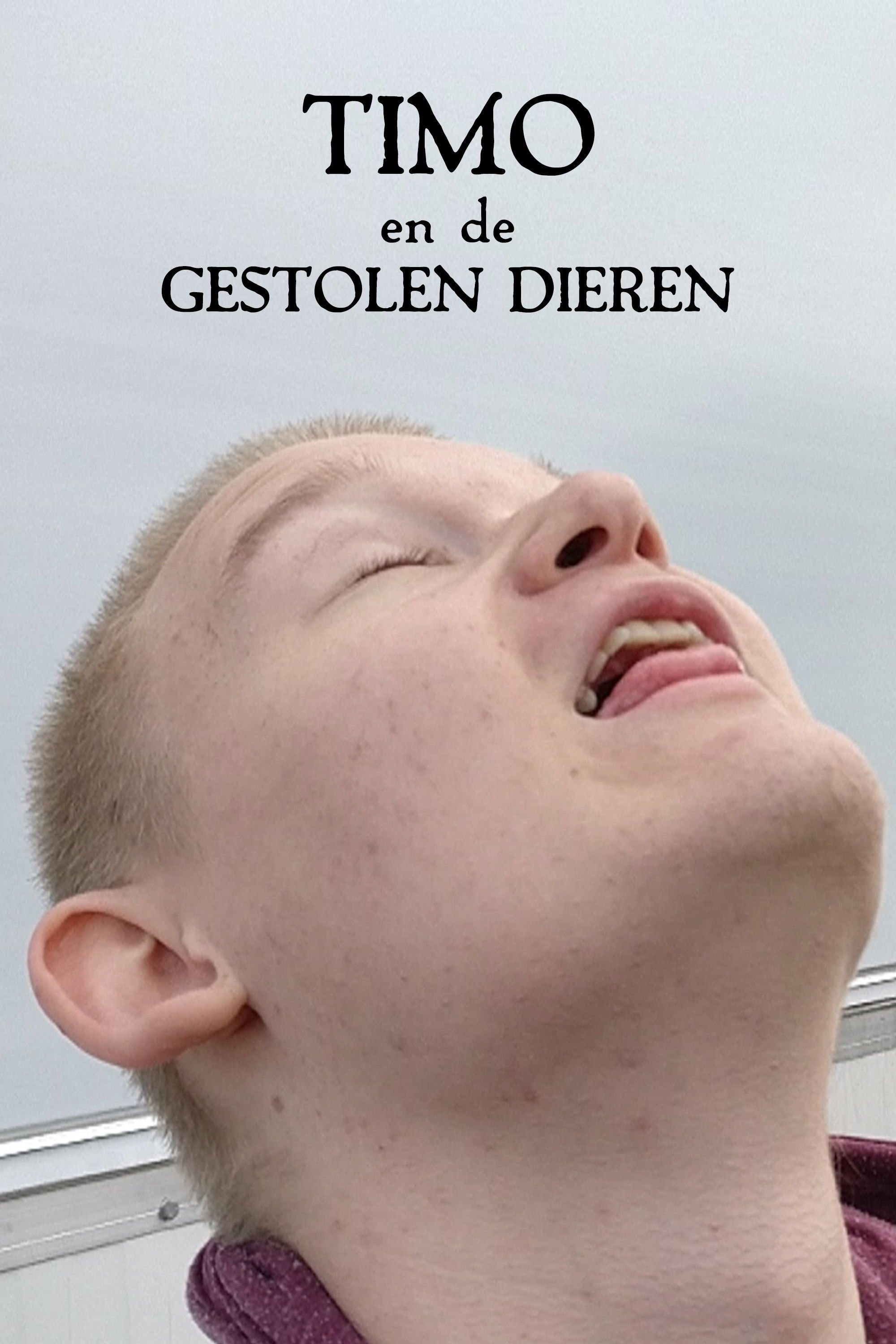 Timo en de Gestolen Dieren (2018) | The Poster Database (TPDb)