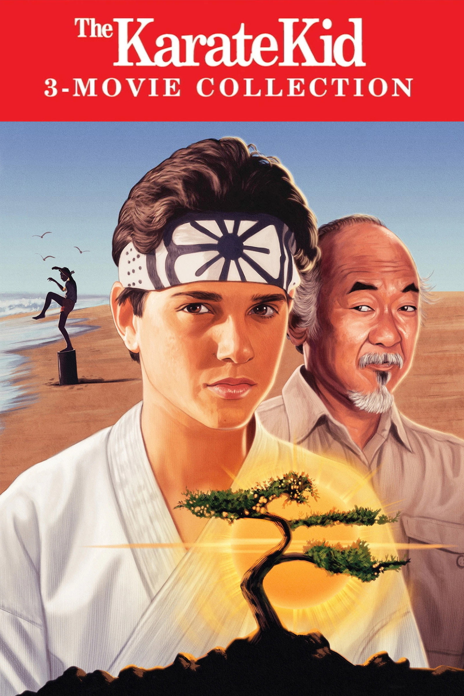 The Karate Kid Collection - Posters — The Movie Database (TMDB)