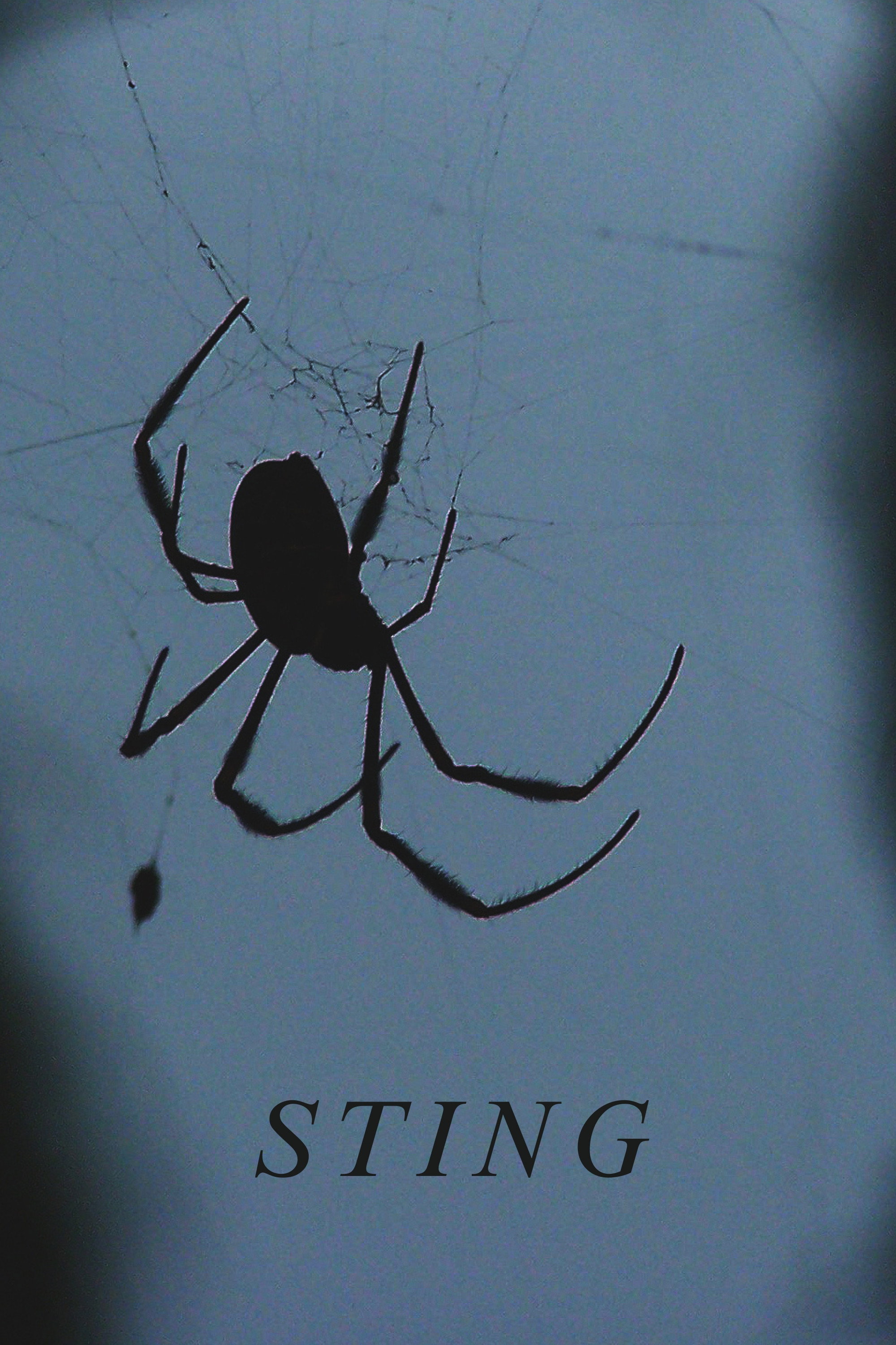 Sting (2024) - Posters — The Movie Database (TMDB)