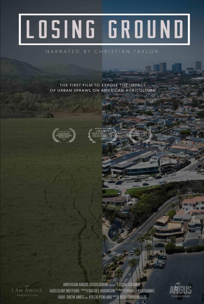 Losing Ground - Posters — The Movie Database (TMDB)