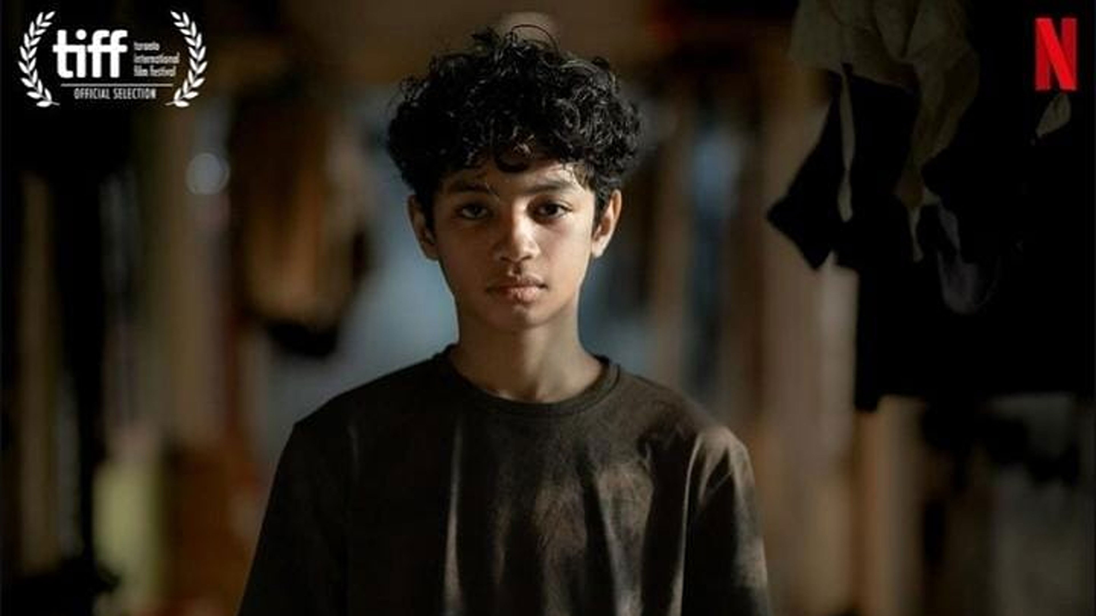 Відступна тінь (2024) - Кінобаза