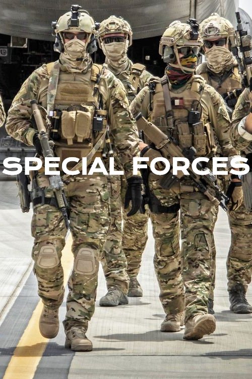 Special Forces (TV Series 2016-2017) - Posters — The Movie Database (TMDB)