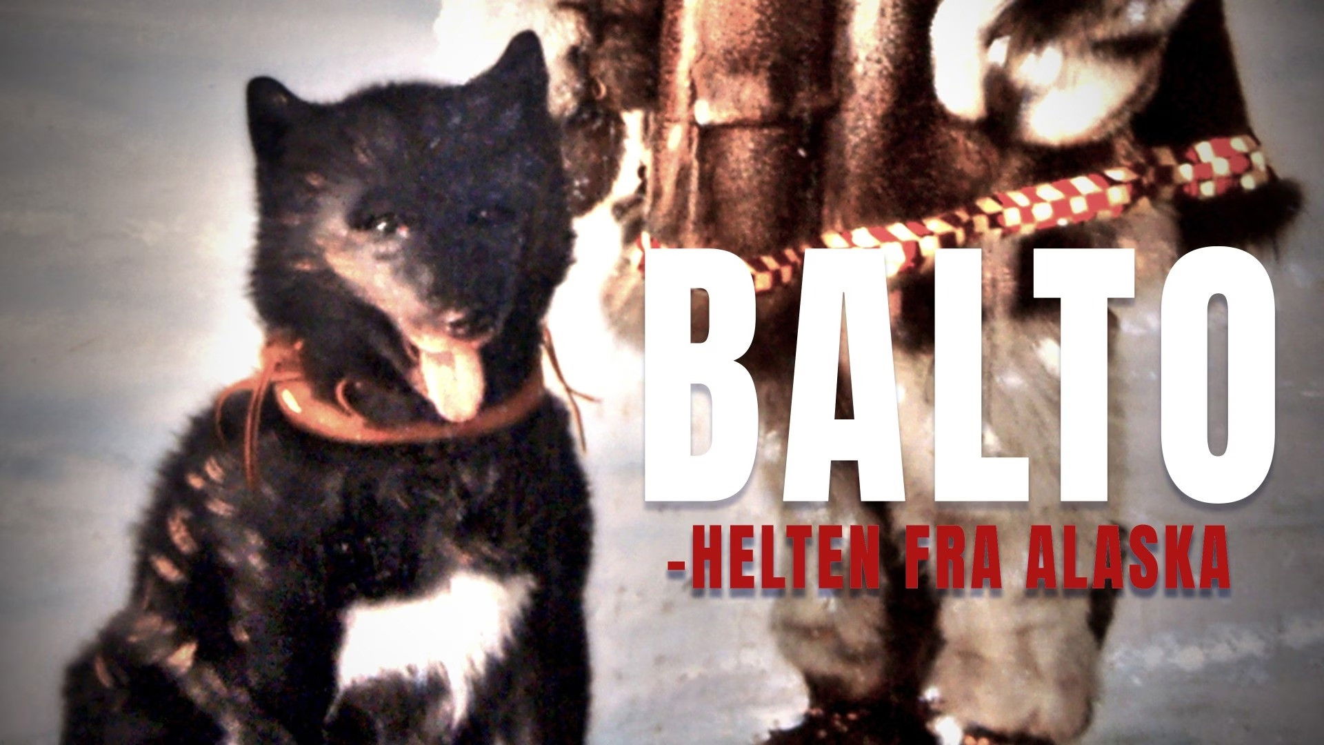 Balto - The Hero From Alaska (2011) - AZ Movies