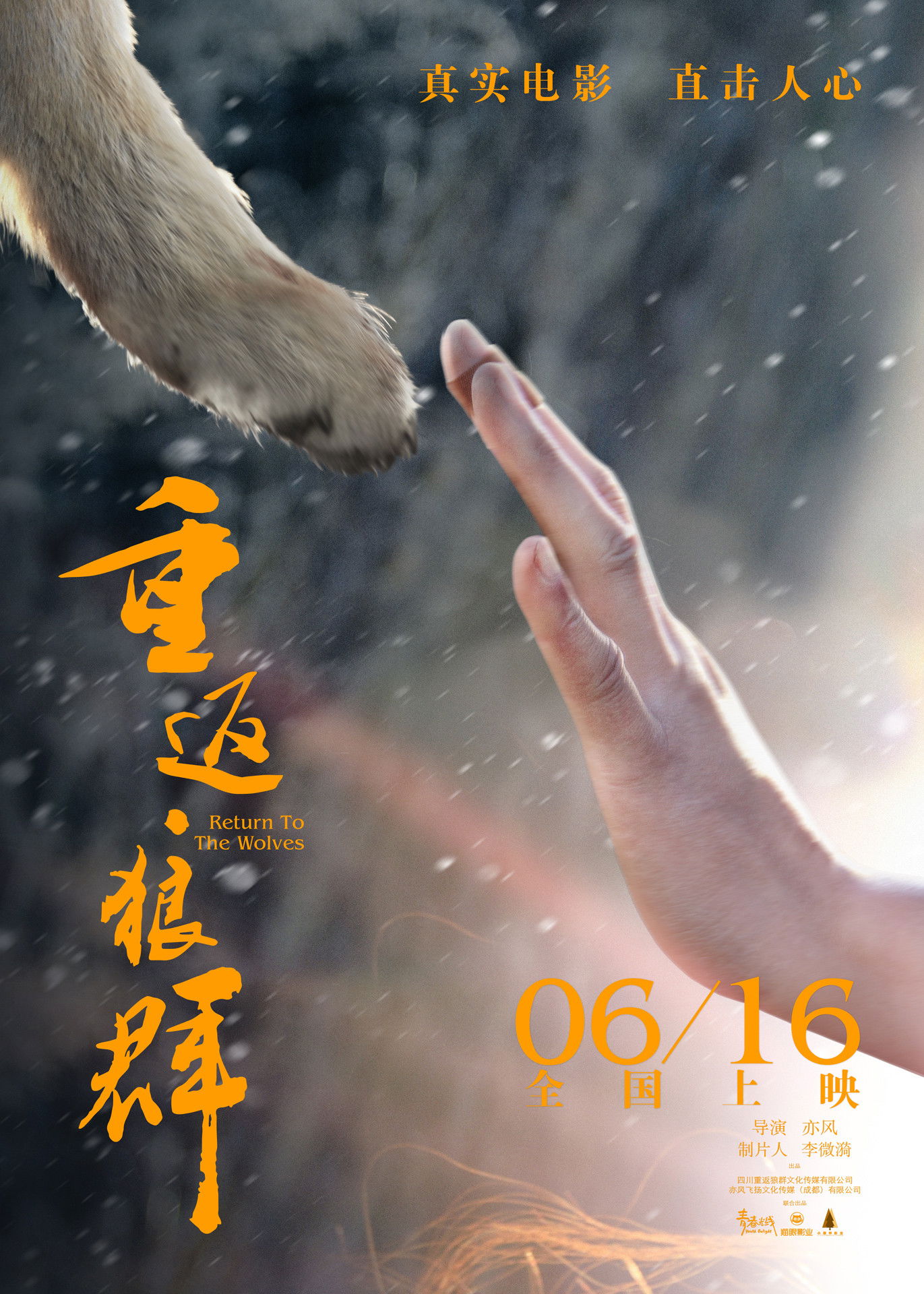 Return to the Wolves (2017) - Posters — The Movie Database (TMDB)