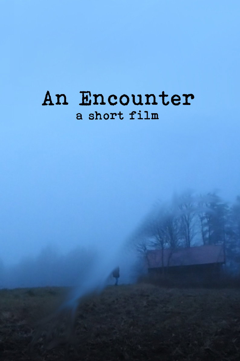 An Encounter (2020) - Posters — The Movie Database (TMDB)