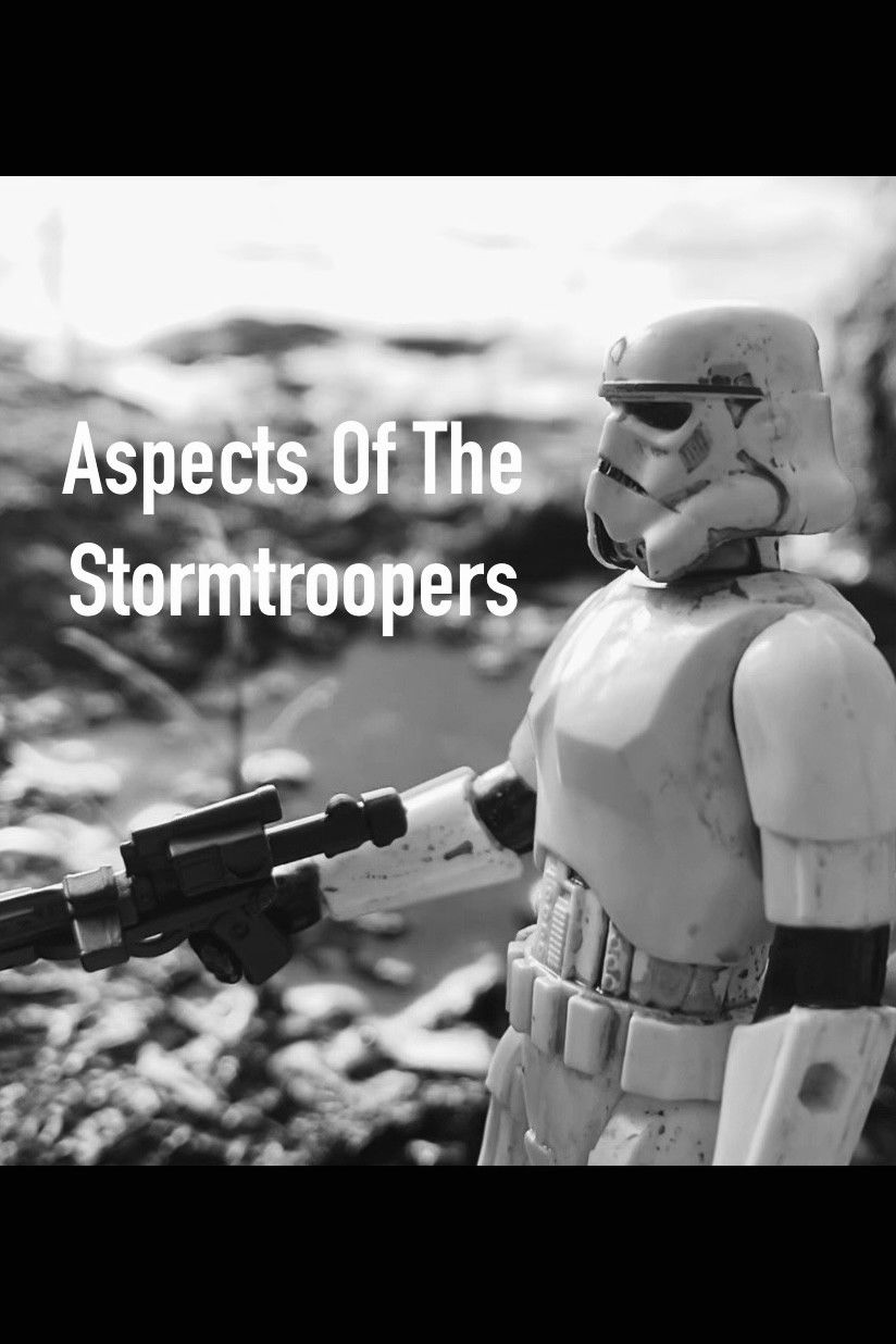 Aspects Of The Stormtroopers - A Star Wars Short Film (2024) - Posters ...