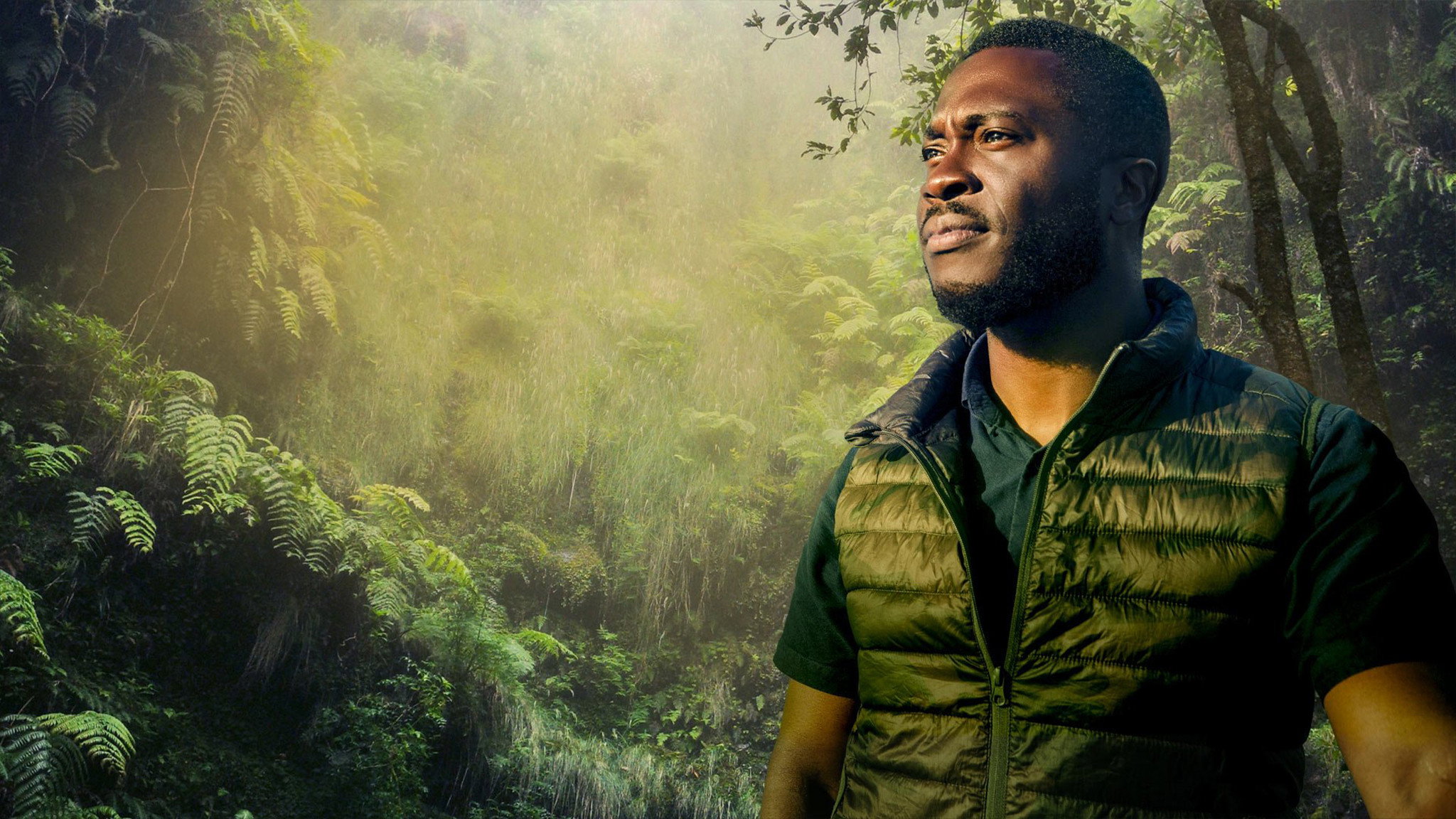 Patrick Aryee's Wild World (TV Series 2022-2022) - Backdrops — The ...
