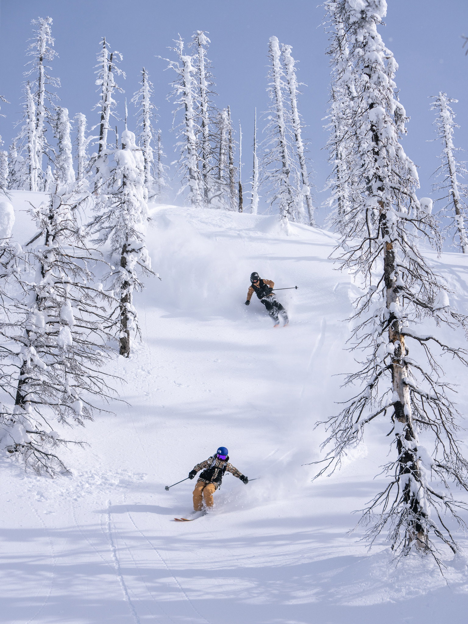 How Did We Get Here? - Posters — The Movie Database (TMDB)