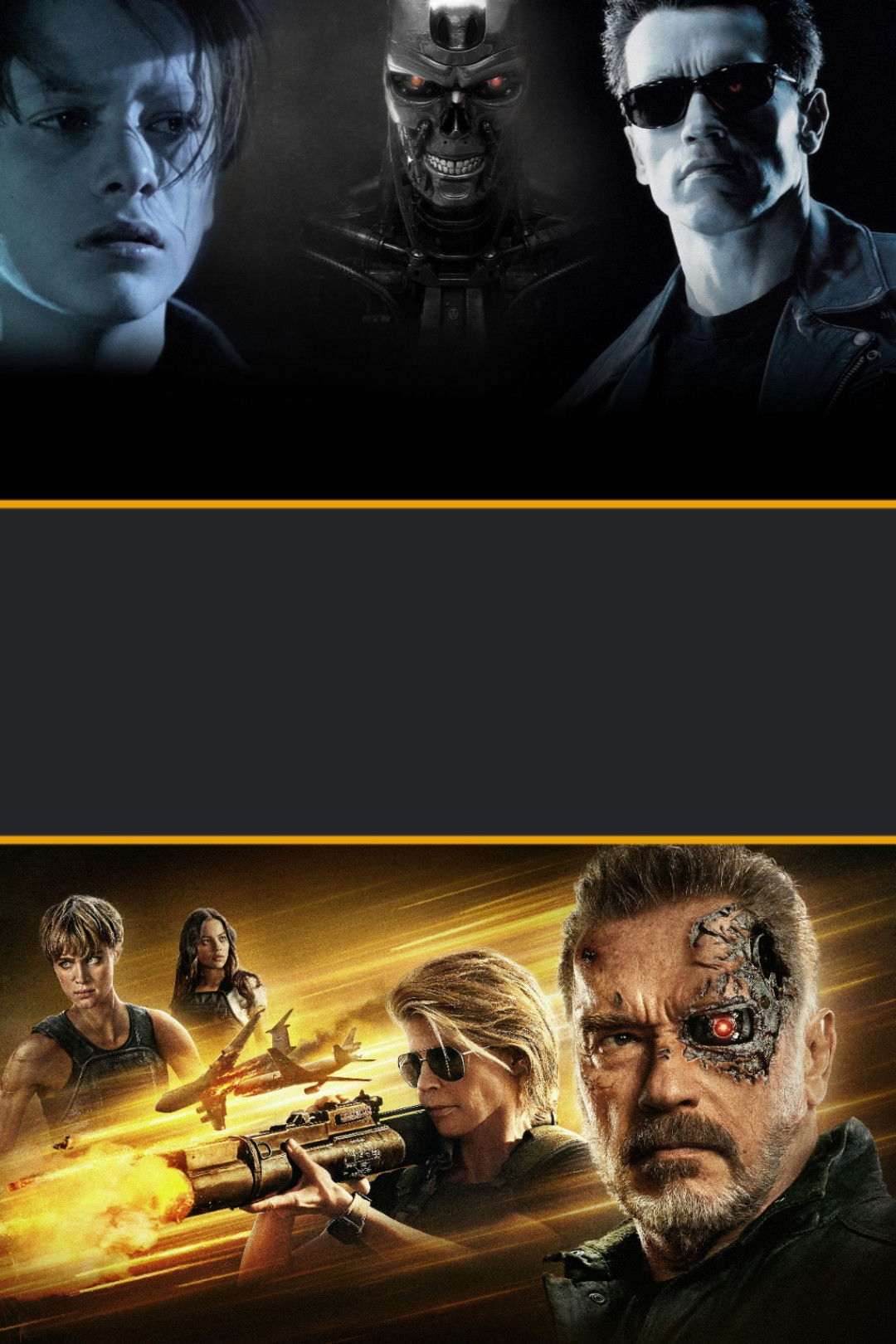 The Terminator Collection - Posters — The Movie Database (TMDB)