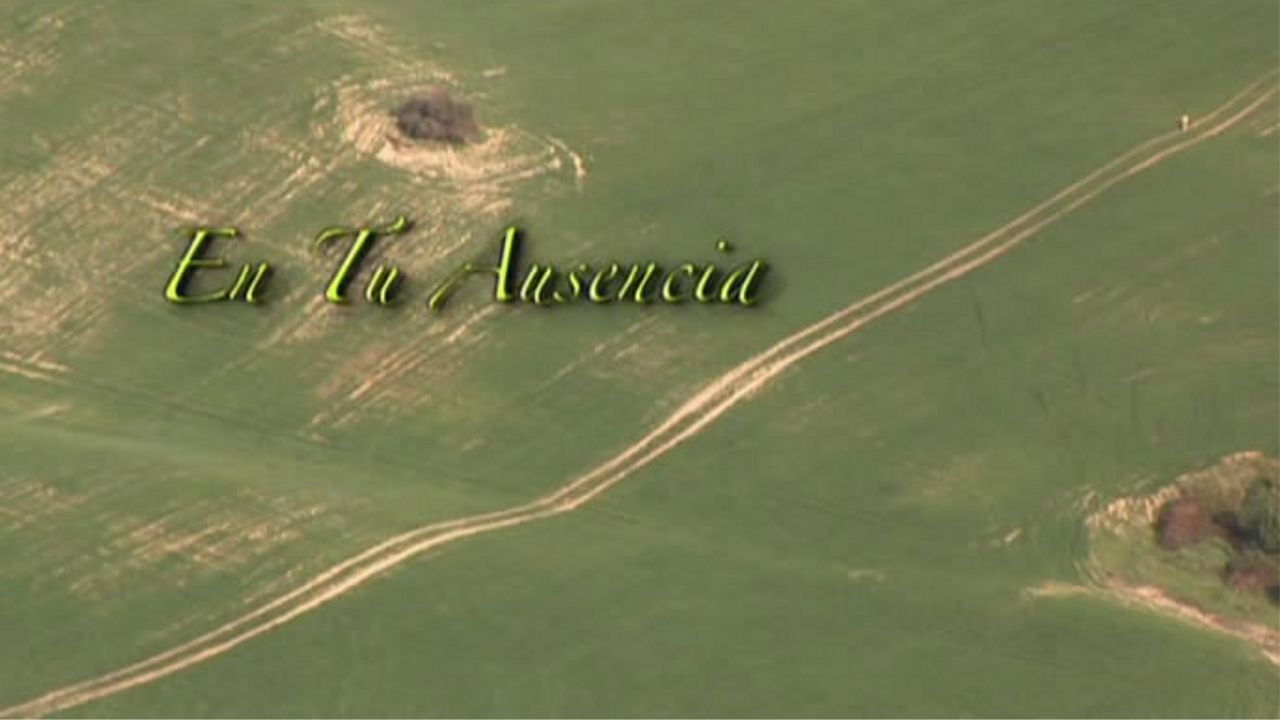 In Your Absence (2008) – Movies – Filmanic