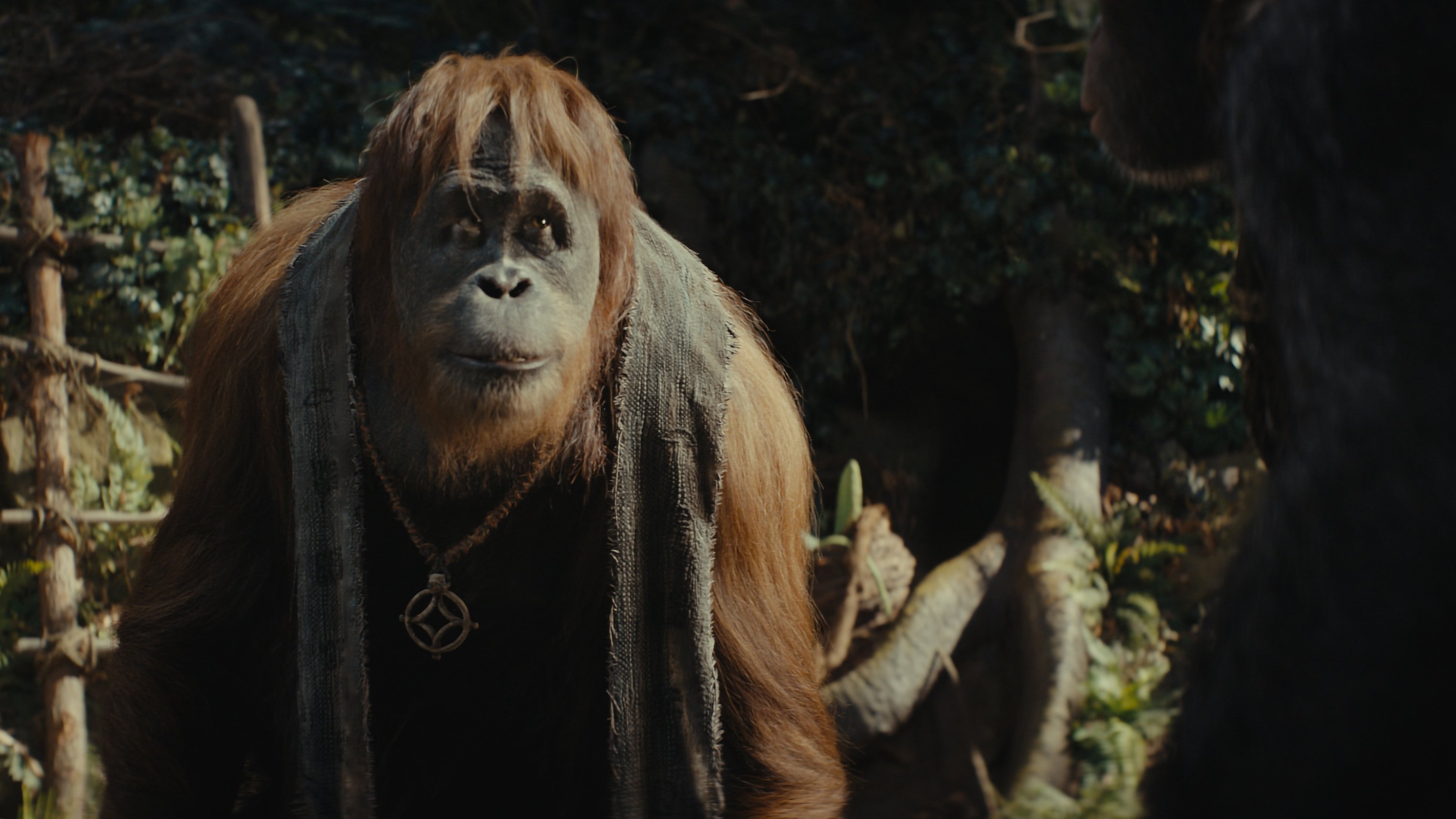 Nonton Planet Of The Apes 2024 Sub Indo - Naoma Vernice Nonton Planet Of The Apes 2024 Sub Indo - Naoma Vernice
