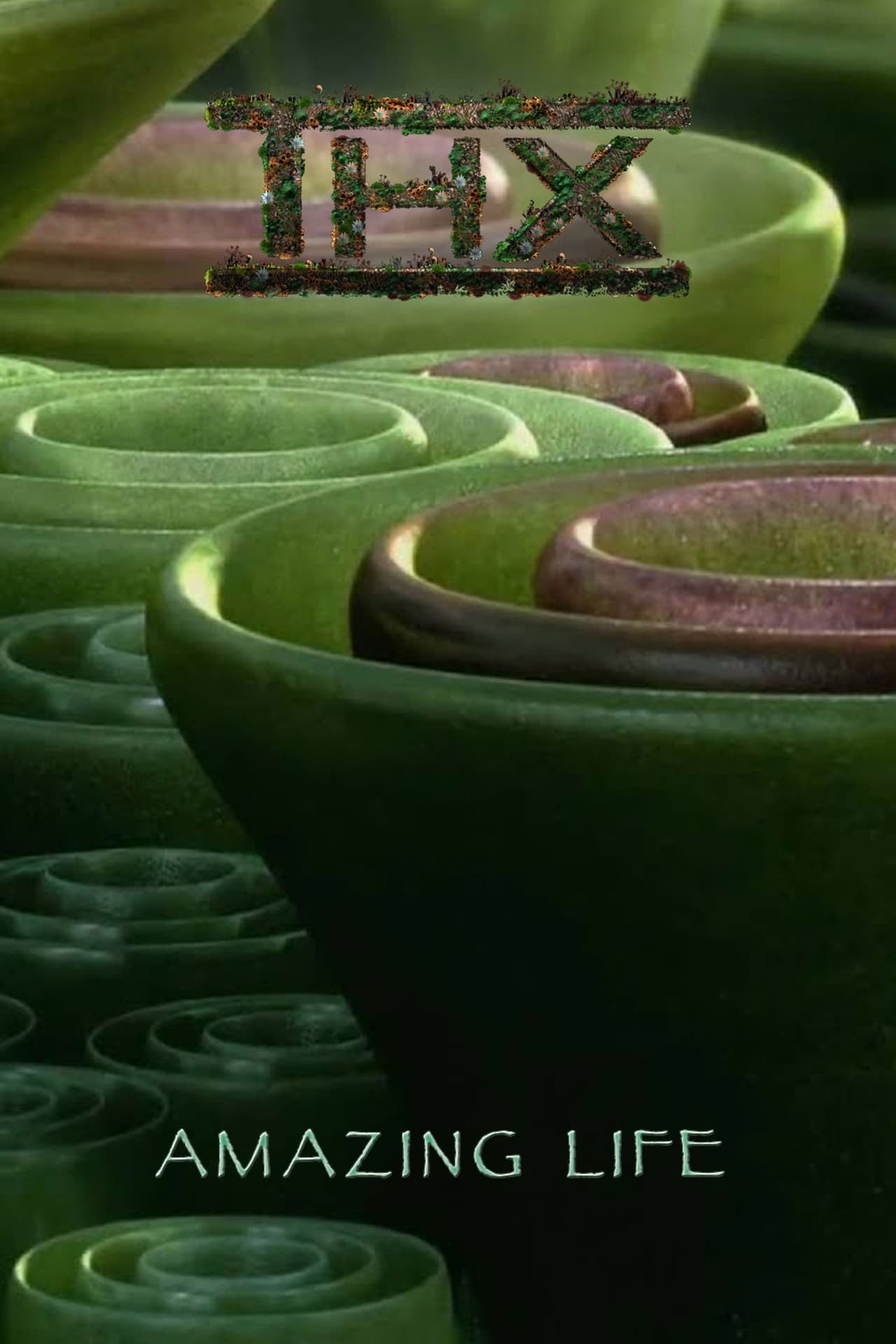 THX Amazing Life (2007) | The Poster Database (TPDb)