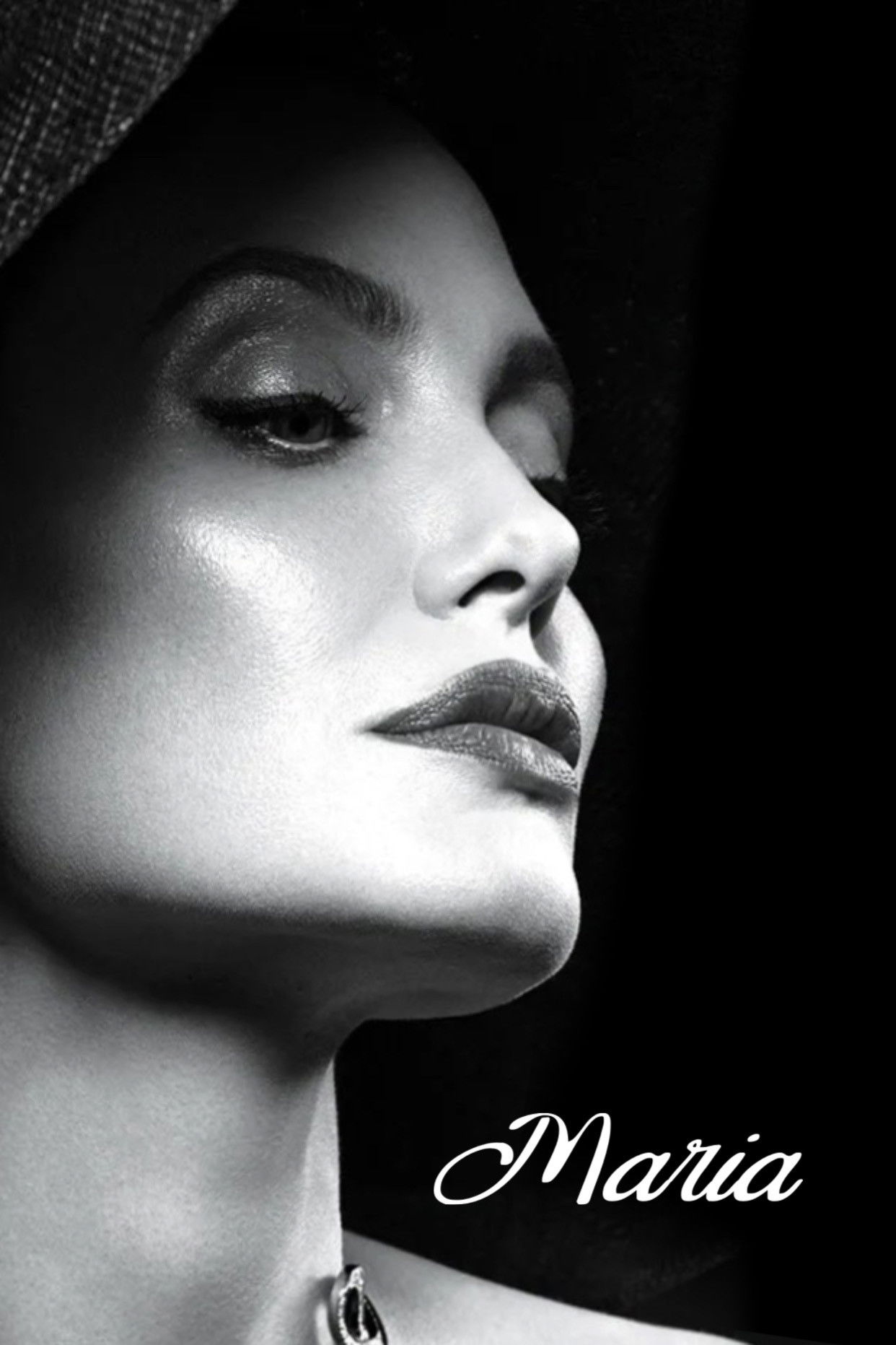 Angelina Jolie Wiki, Biography, Age, Gallery, Spouse and more