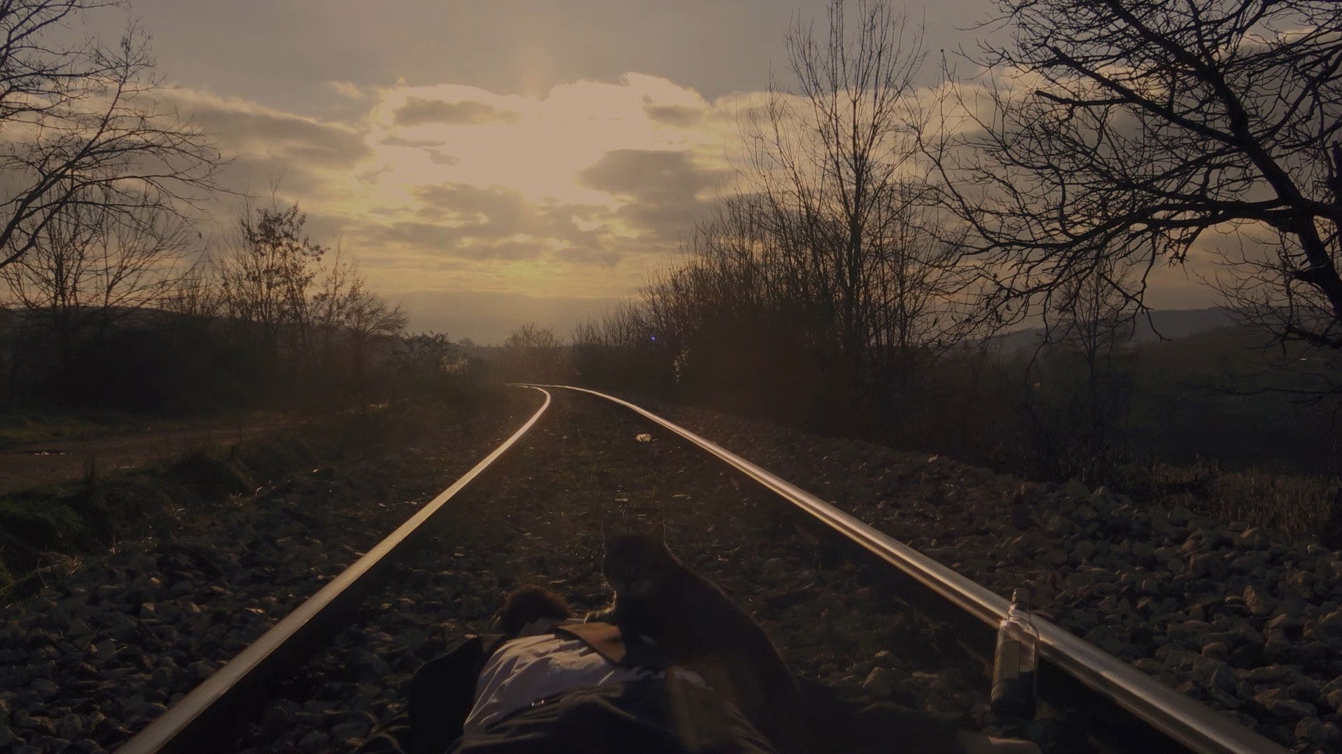 Alone (2022) - Backdrops — The Movie Database (TMDB)