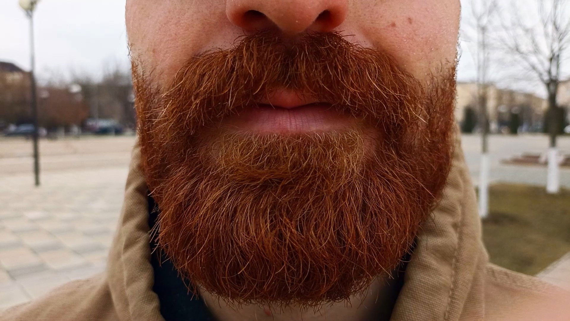 A Short History of the Chechen Mustache (2023) - Backdrops — The Movie ...