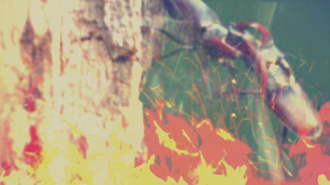 Bug Fight - AZ Movies