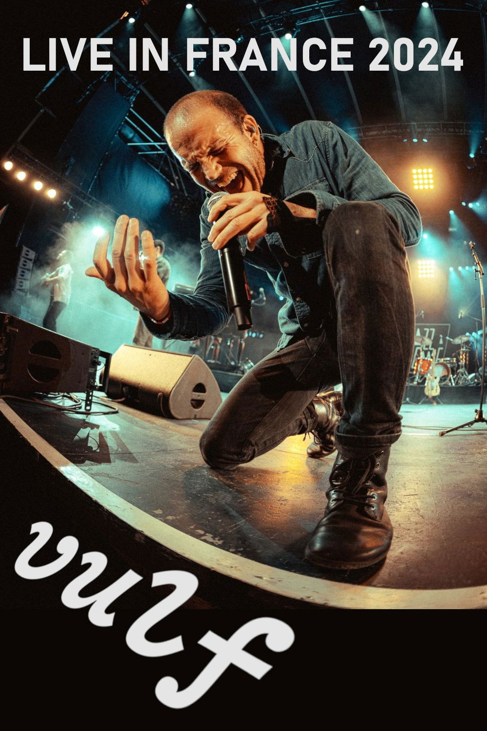 Vulfpeck Live in France (2024) | The Poster Database (TPDb)