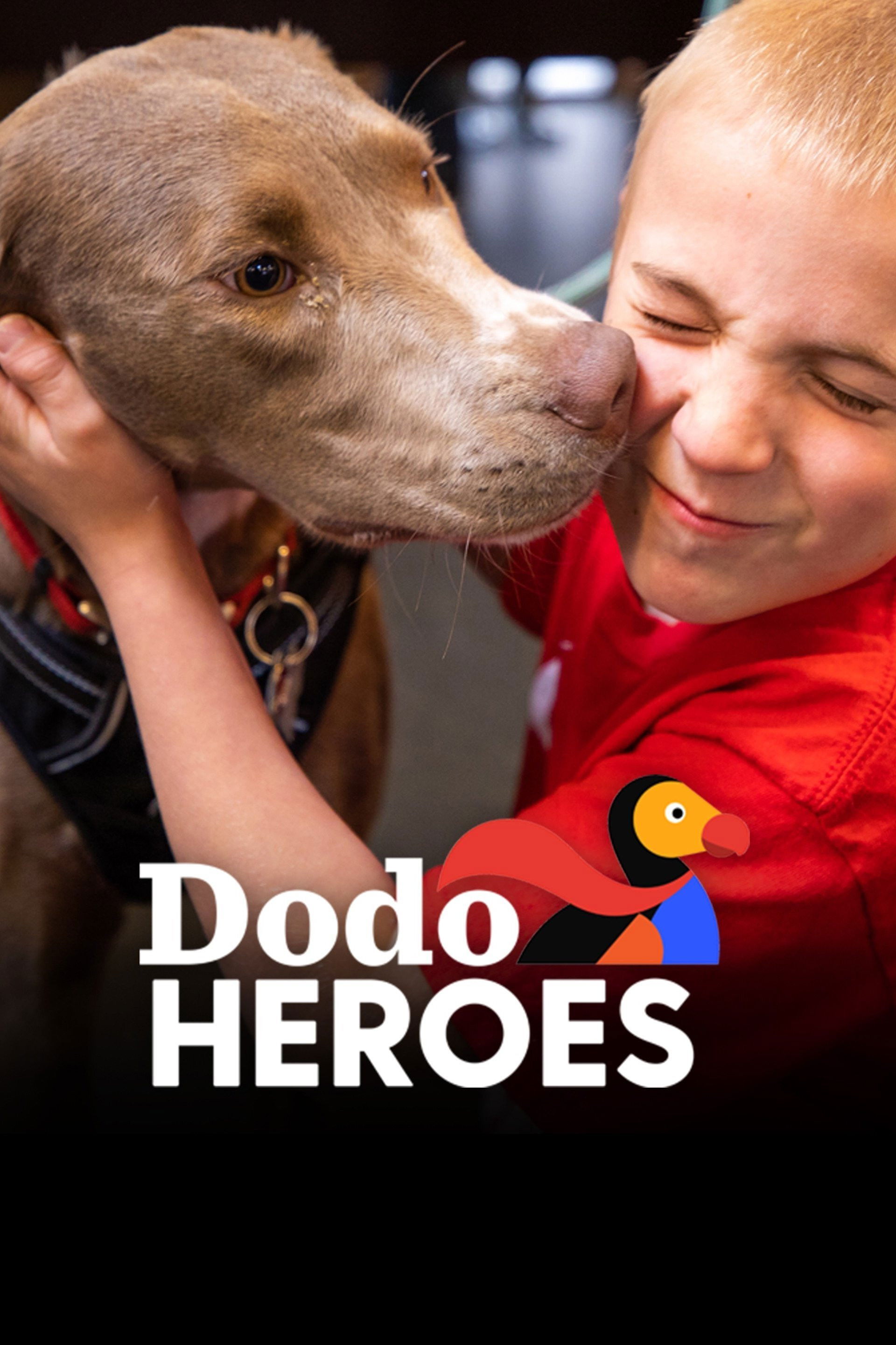 Dodo Heroes (TV Series 2018- ) - Posters — The Movie Database (TMDB)
