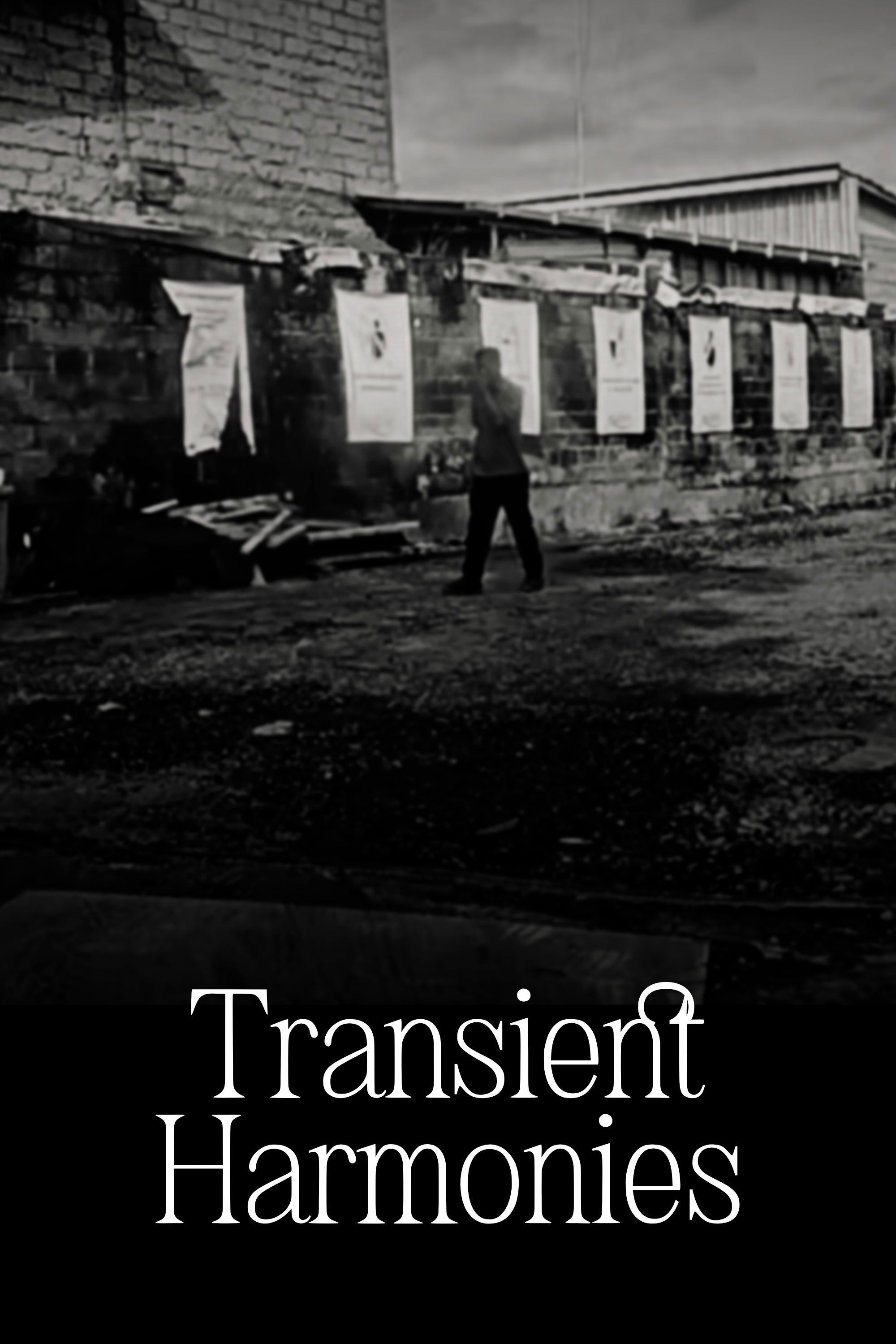 Transient Harmonies (2025) - Posters — The Movie Database (TMDB)