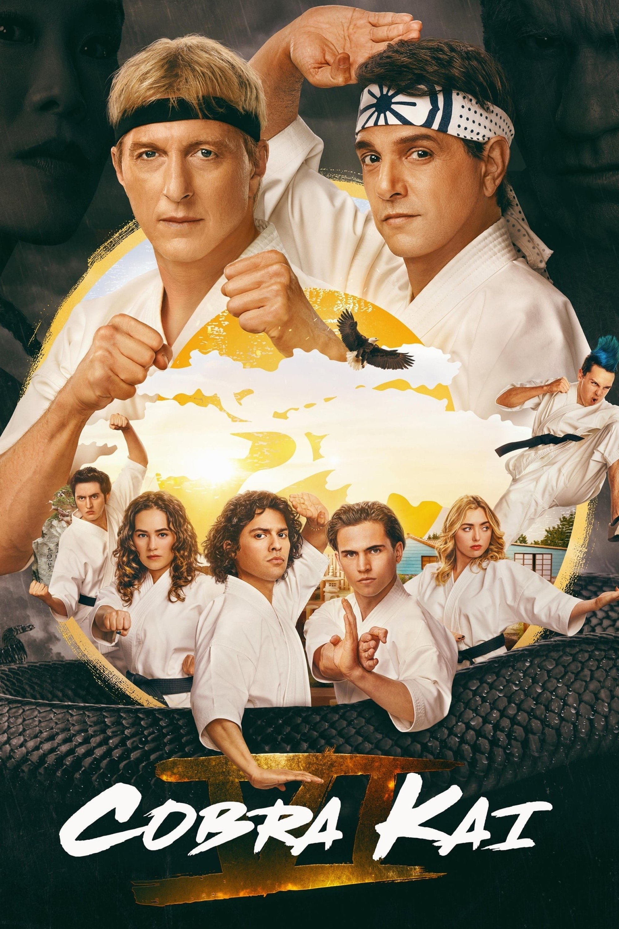 Cobra Kai (TV Series 2018-2025) - Posters — The Movie Database (TMDB)