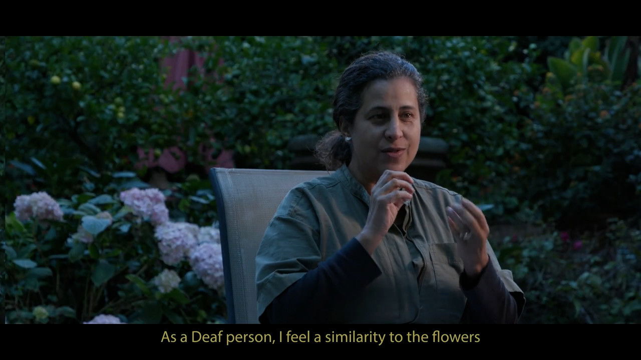 Living Dictionary: American Sign Language (2024) - Backdrops — The ...