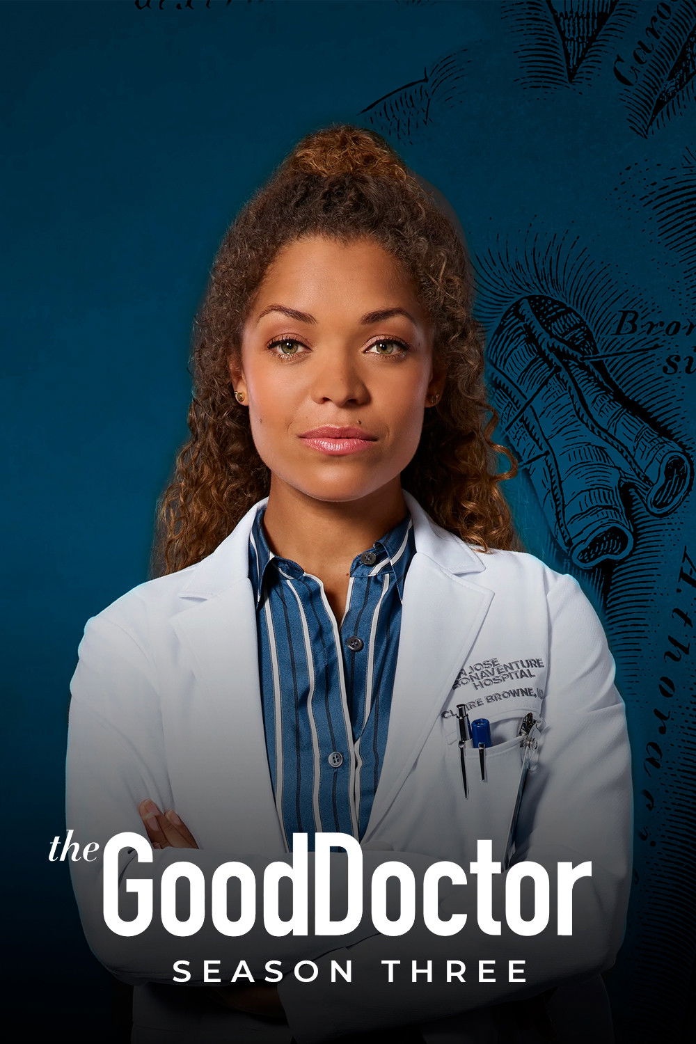 The Good Doctor (TV Series 2017-2024) - Posters — The Movie Database (TMDB)