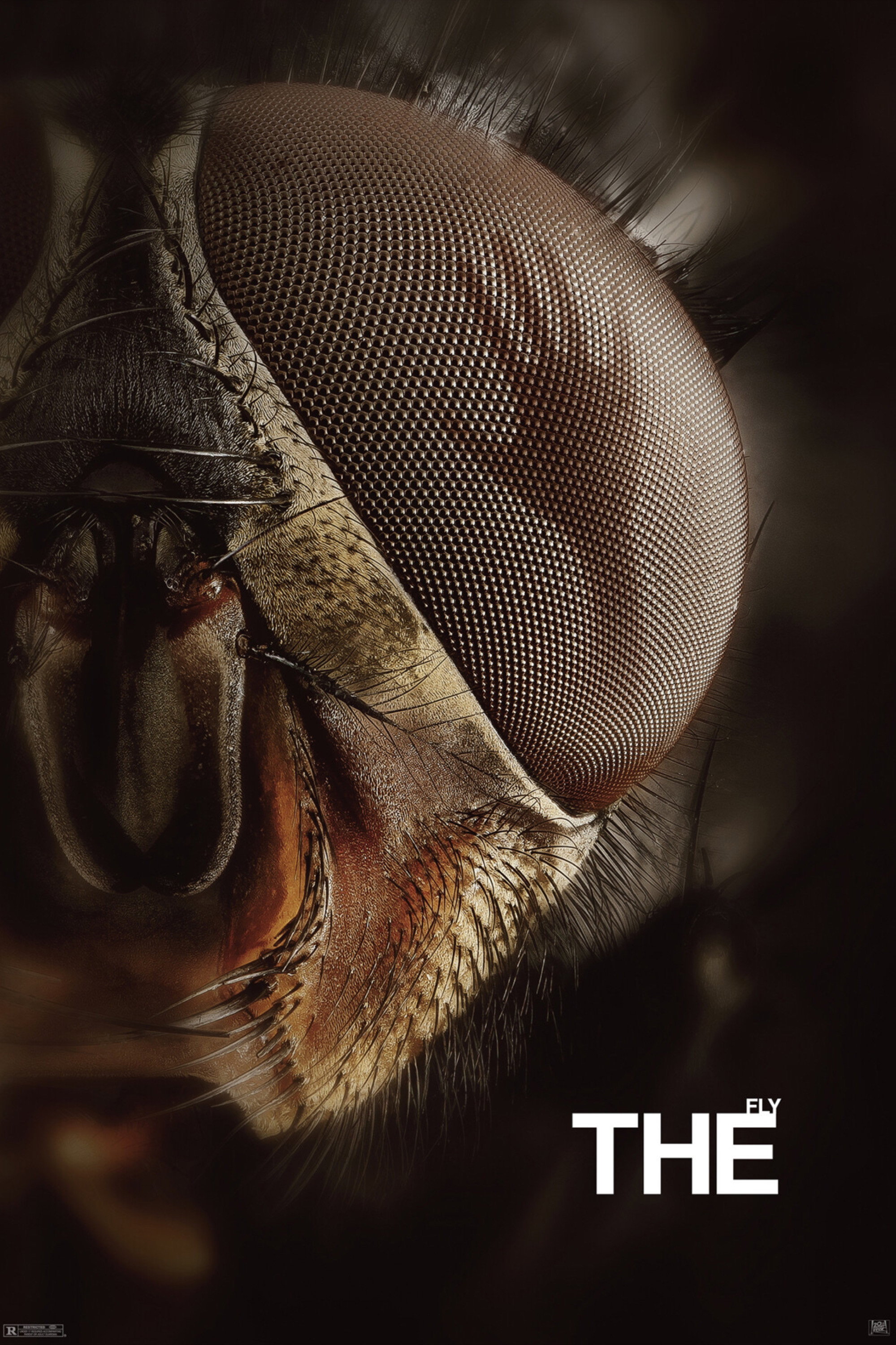 The Fly (1986) - Posters — The Movie Database (TMDB)