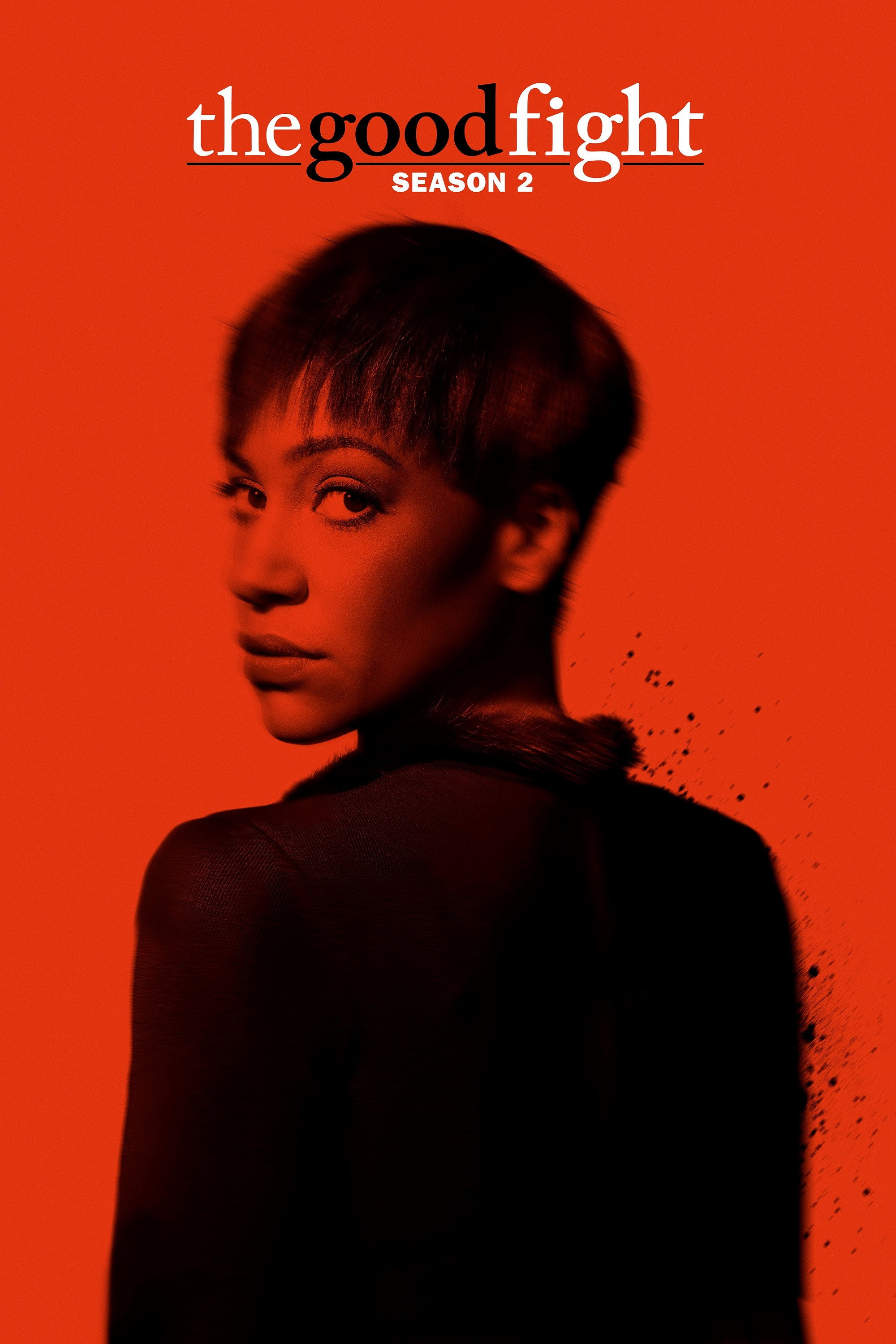 The Good Fight (TV Series 2017-2022) - Posters — The Movie Database (TMDB)