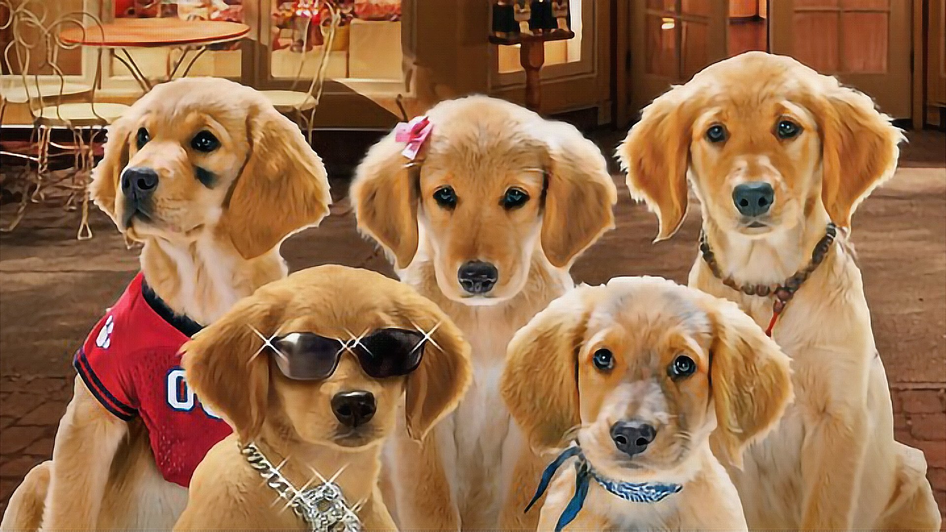 Buddies Collection - Backdrops — The Movie Database (TMDB)