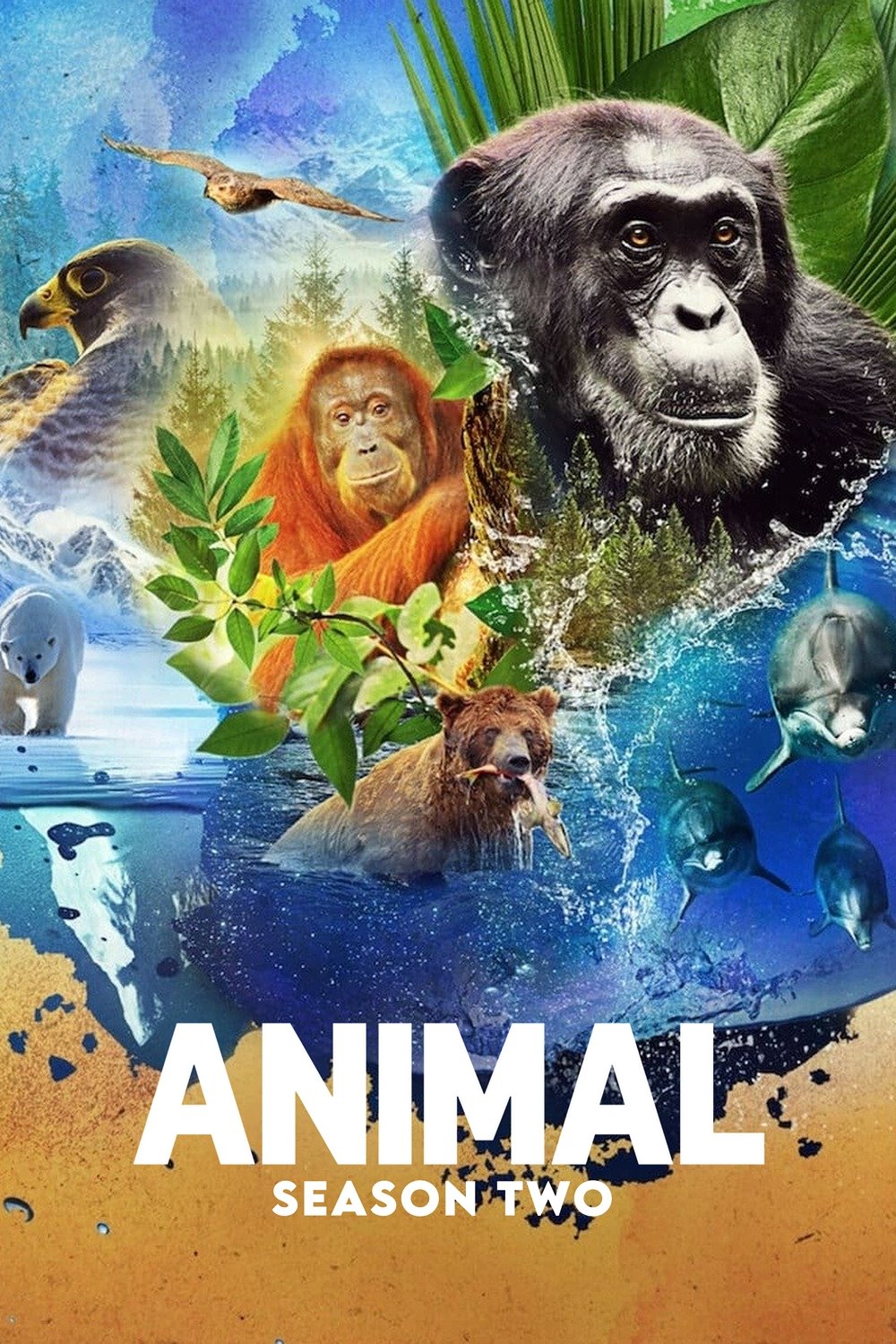 Animal (TV Series 2021- ) - Posters — The Movie Database (TMDB)