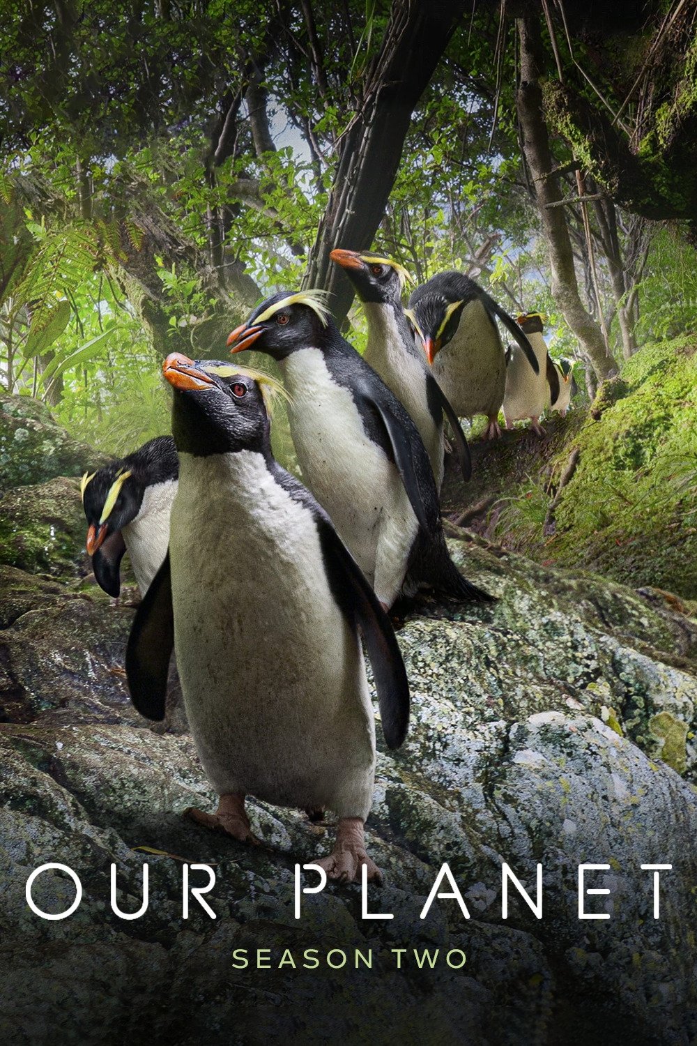 Our Planet (TV Series 2019-2023) - Posters — The Movie Database (TMDB)