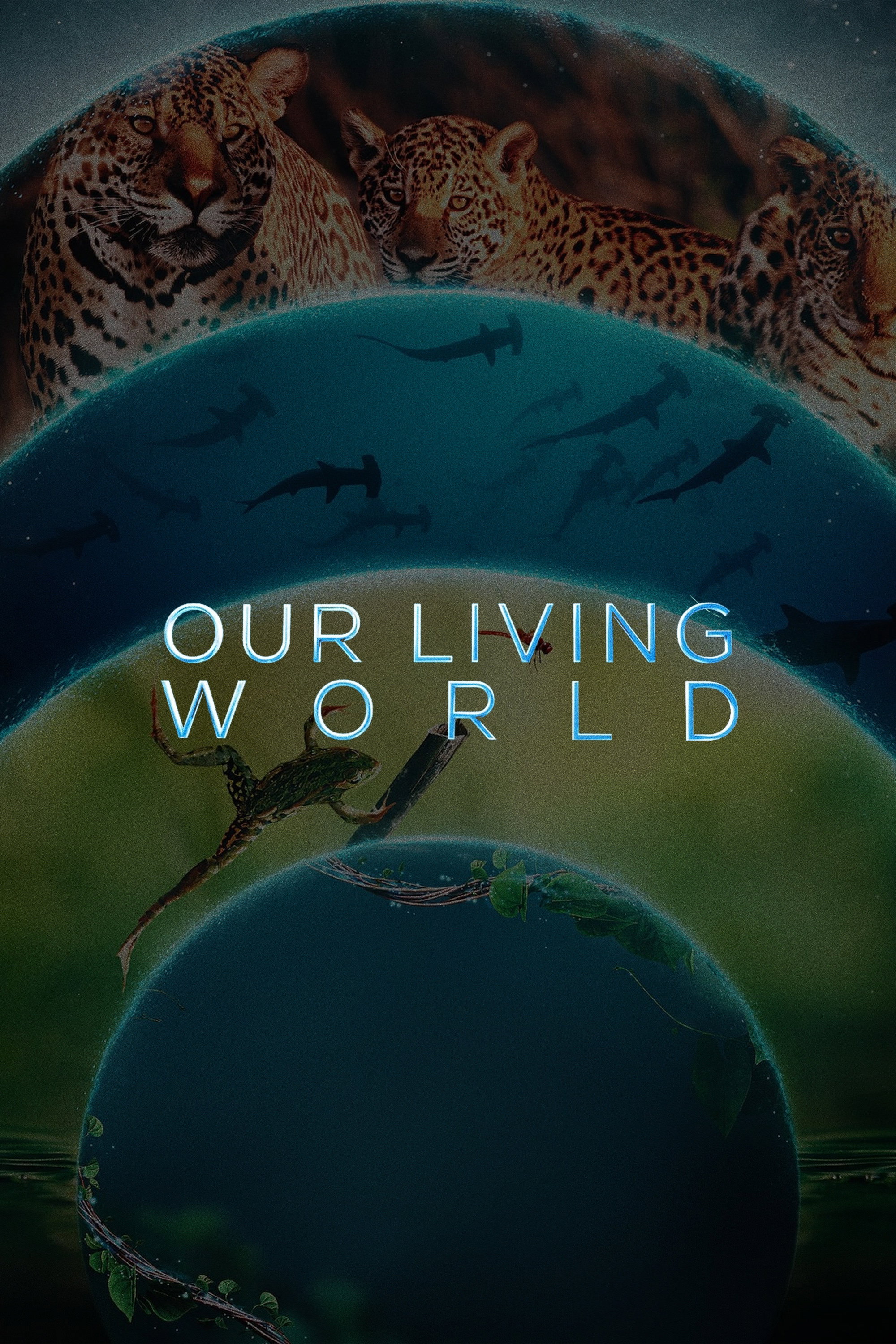 Our Living World (TV Series 2024-2024) - Posters — The Movie Database ...