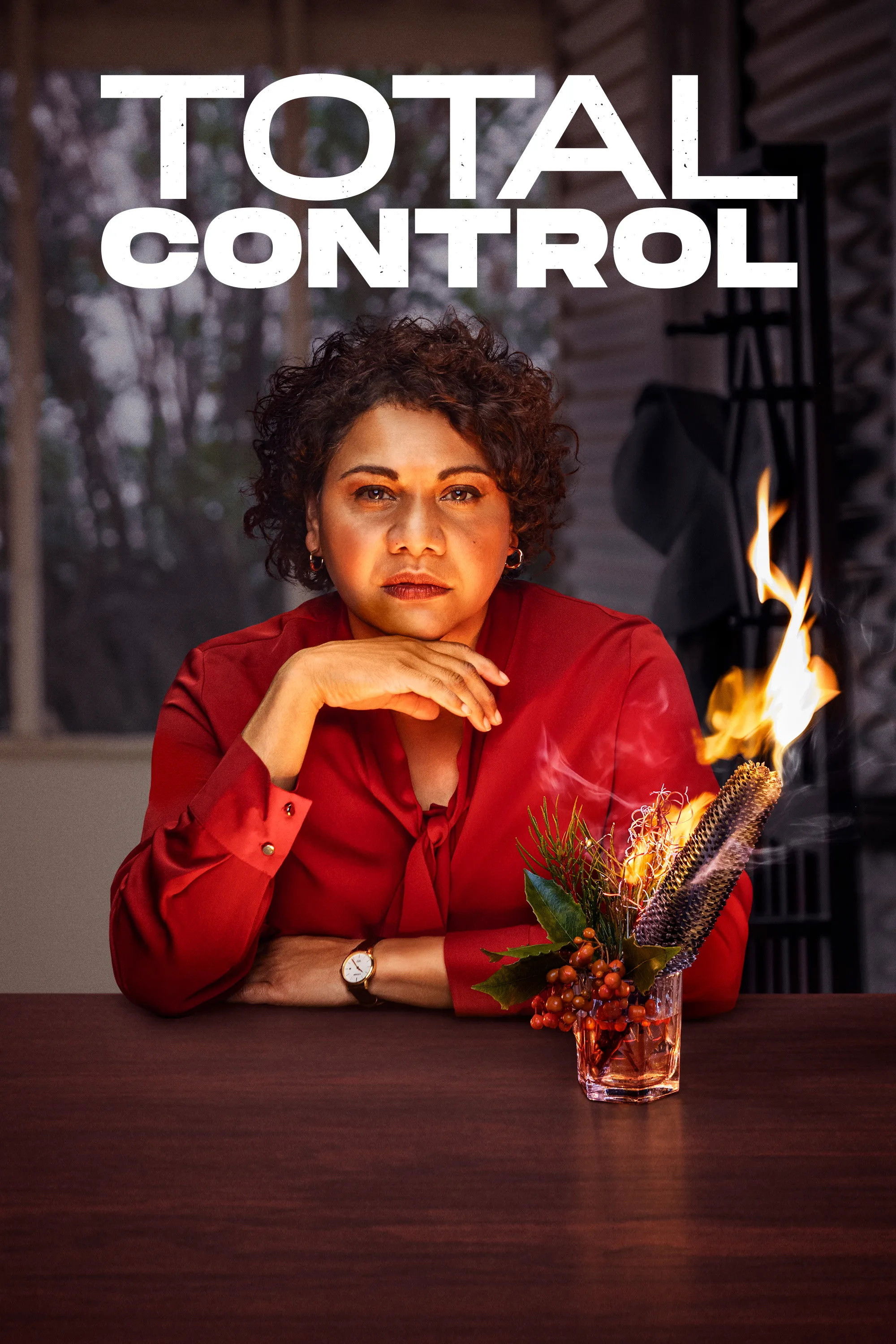 Total Control (TV Series 2019-2024) - Posters — The Movie Database (TMDB)