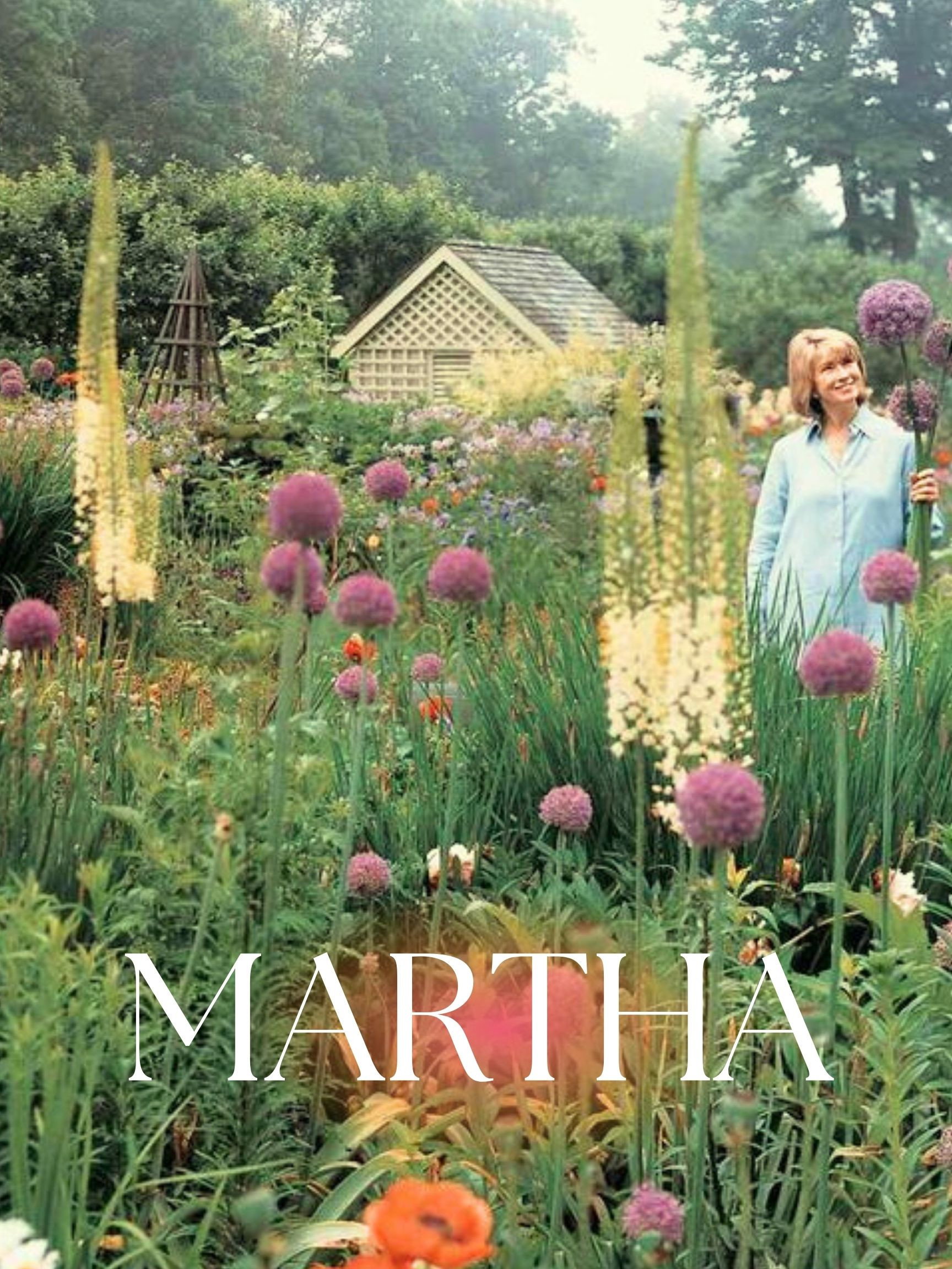 Martha (2024) - Posters — The Movie Database (TMDB)
