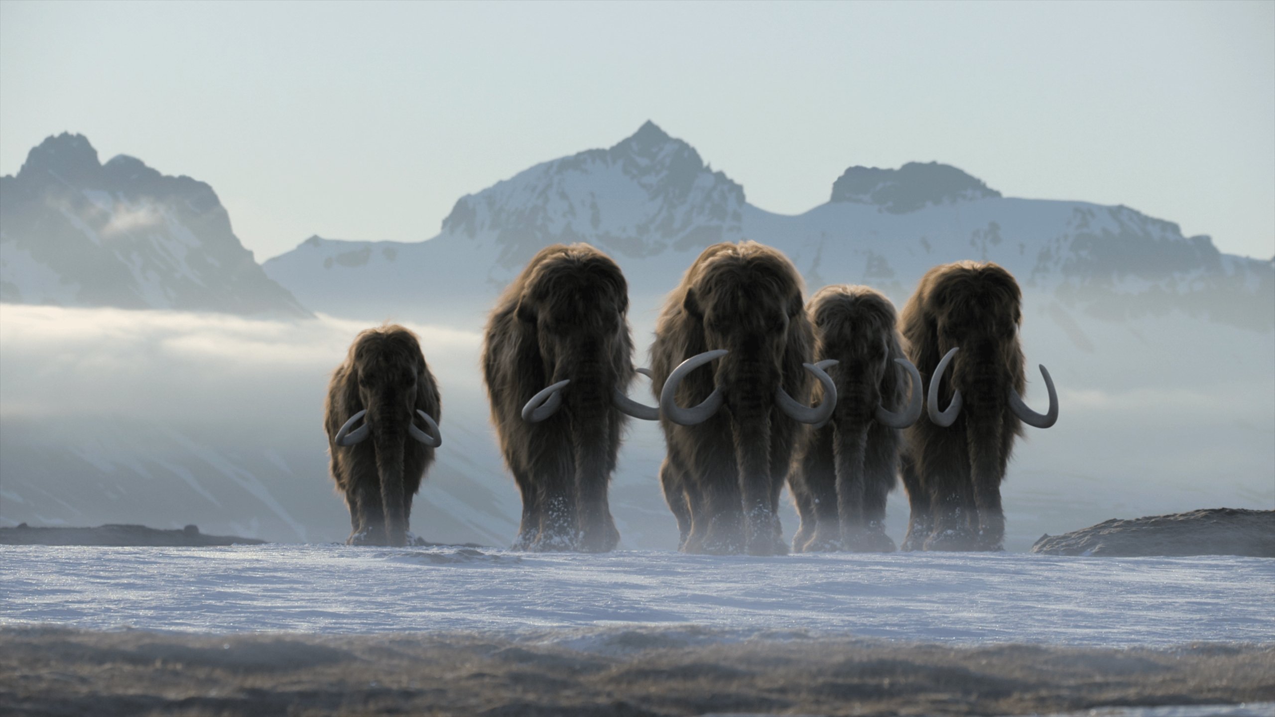 2023 - Life on Our Planet 2023 - Life on Our Planet