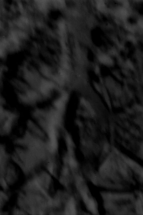 Tempus (2023) - Posters — The Movie Database (TMDB)