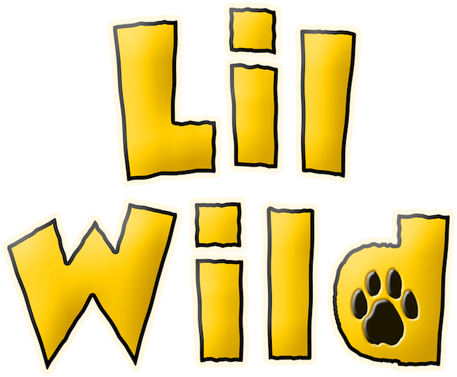 Lil Wild (TV Series 2020- ) - Logos — The Movie Database (TMDB)