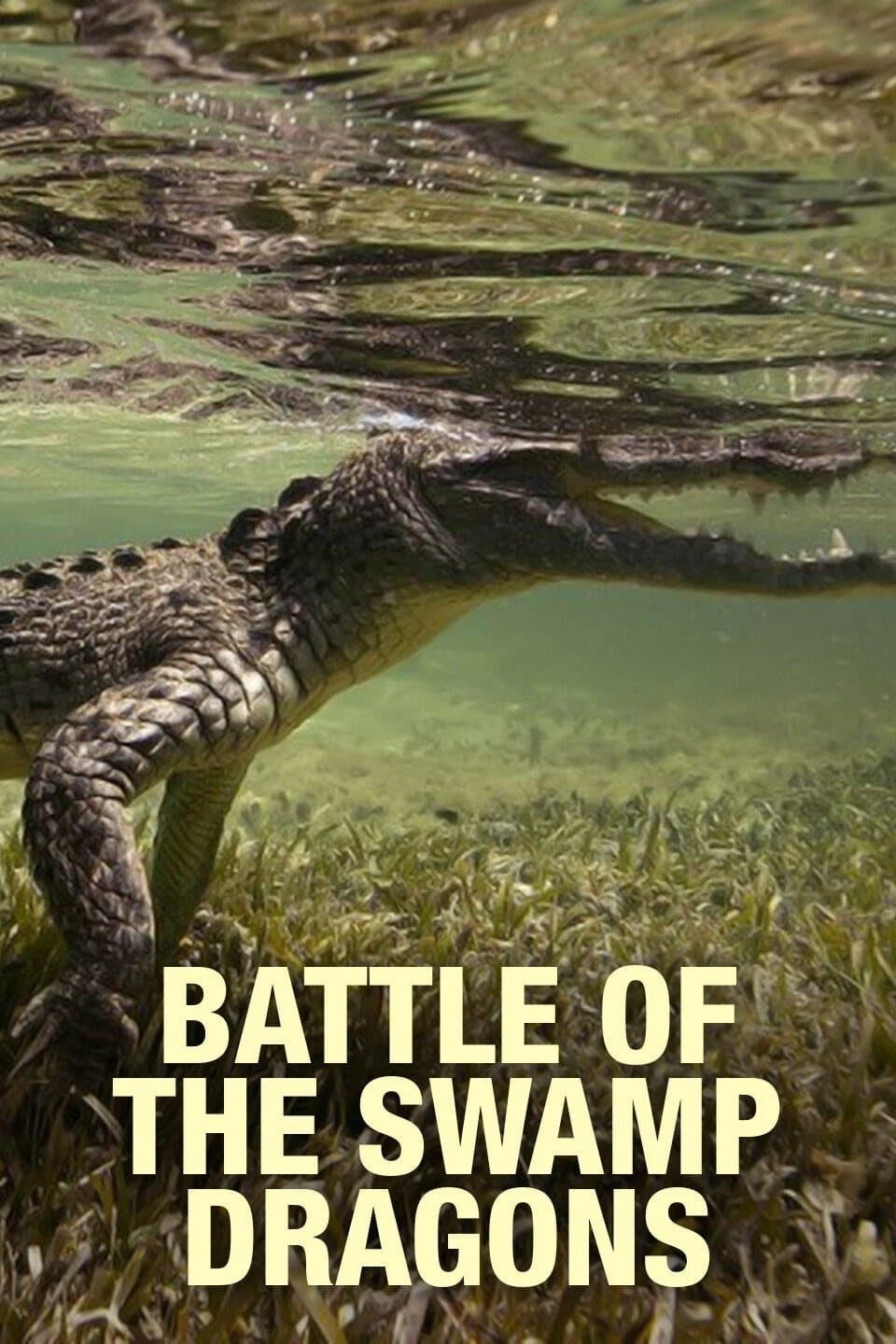 Battle Of The Swamp Dragons (2017) | The Poster Database (TPDb)