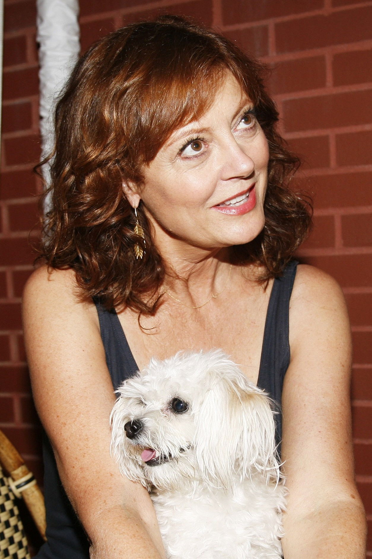 Susan Sarandon – Personer – Film . nu