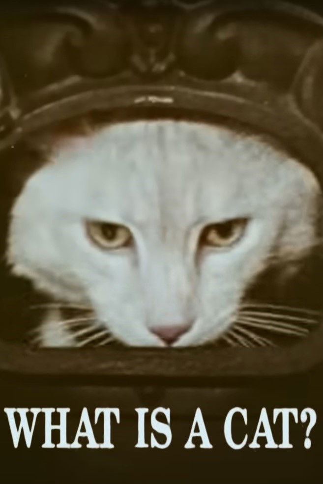 What Is a Cat? (1972) - Posters — The Movie Database (TMDB)