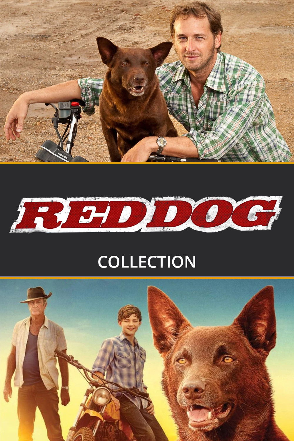 Red Dog Collection - Posters — The Movie Database (TMDB)