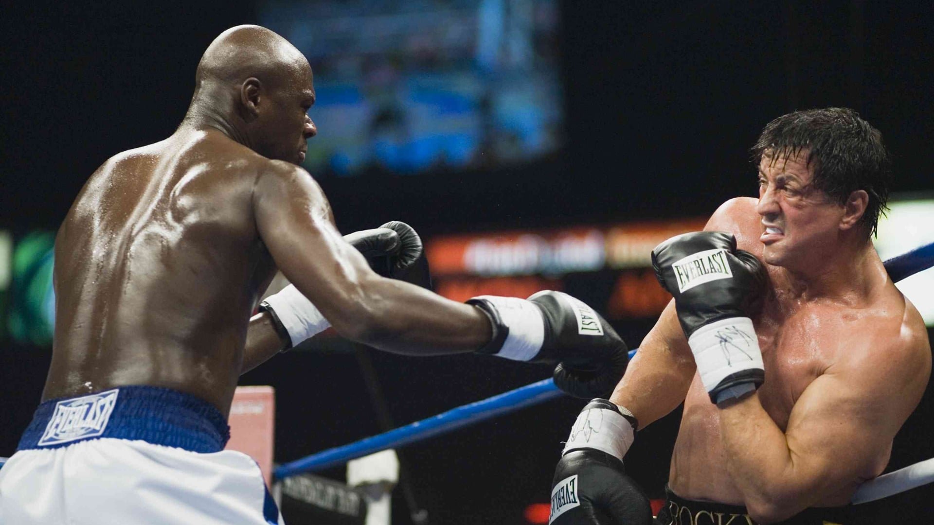 ROCKY BALBOA Streaming Vf (2006) | MOVIE-DAYS ROCKY BALBOA Streaming Vf (2006) | MOVIE-DAYS