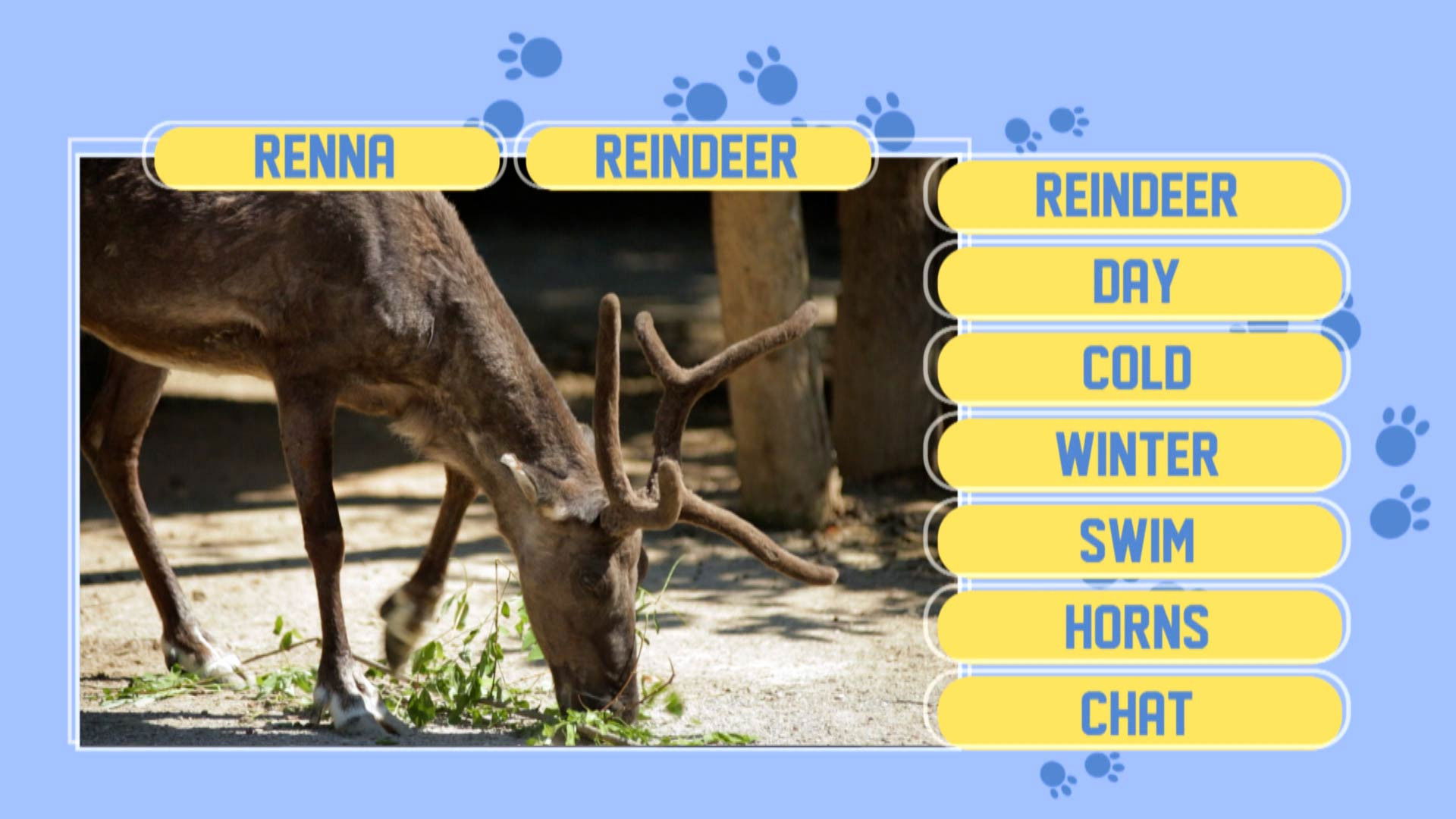 Animals-Pedia: Season 1 - Episode 2 (2022) - (S1E2) - Backdrops — The ...