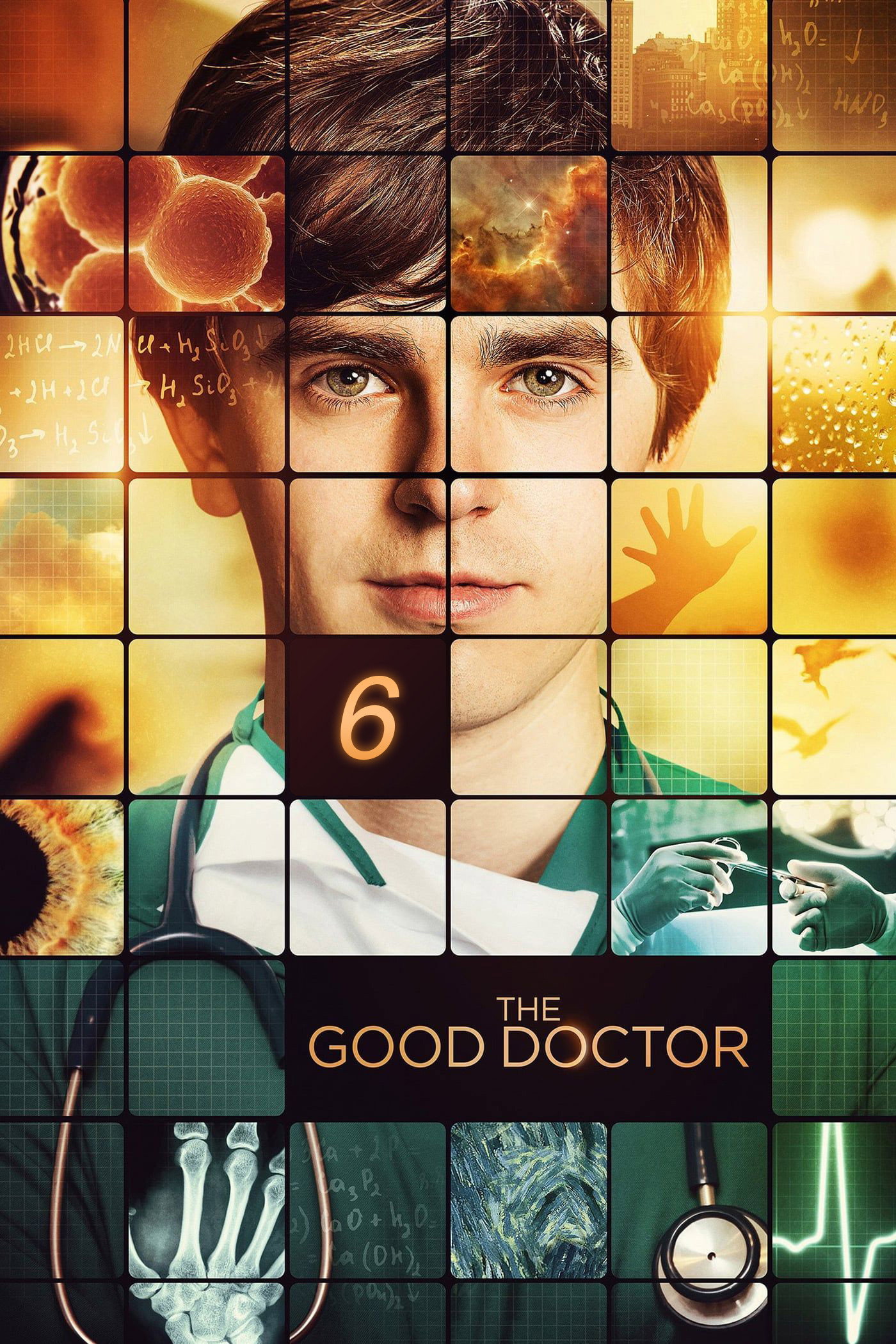 The Good Doctor (TV Series 2017-2024) - Posters — The Movie Database (TMDB)