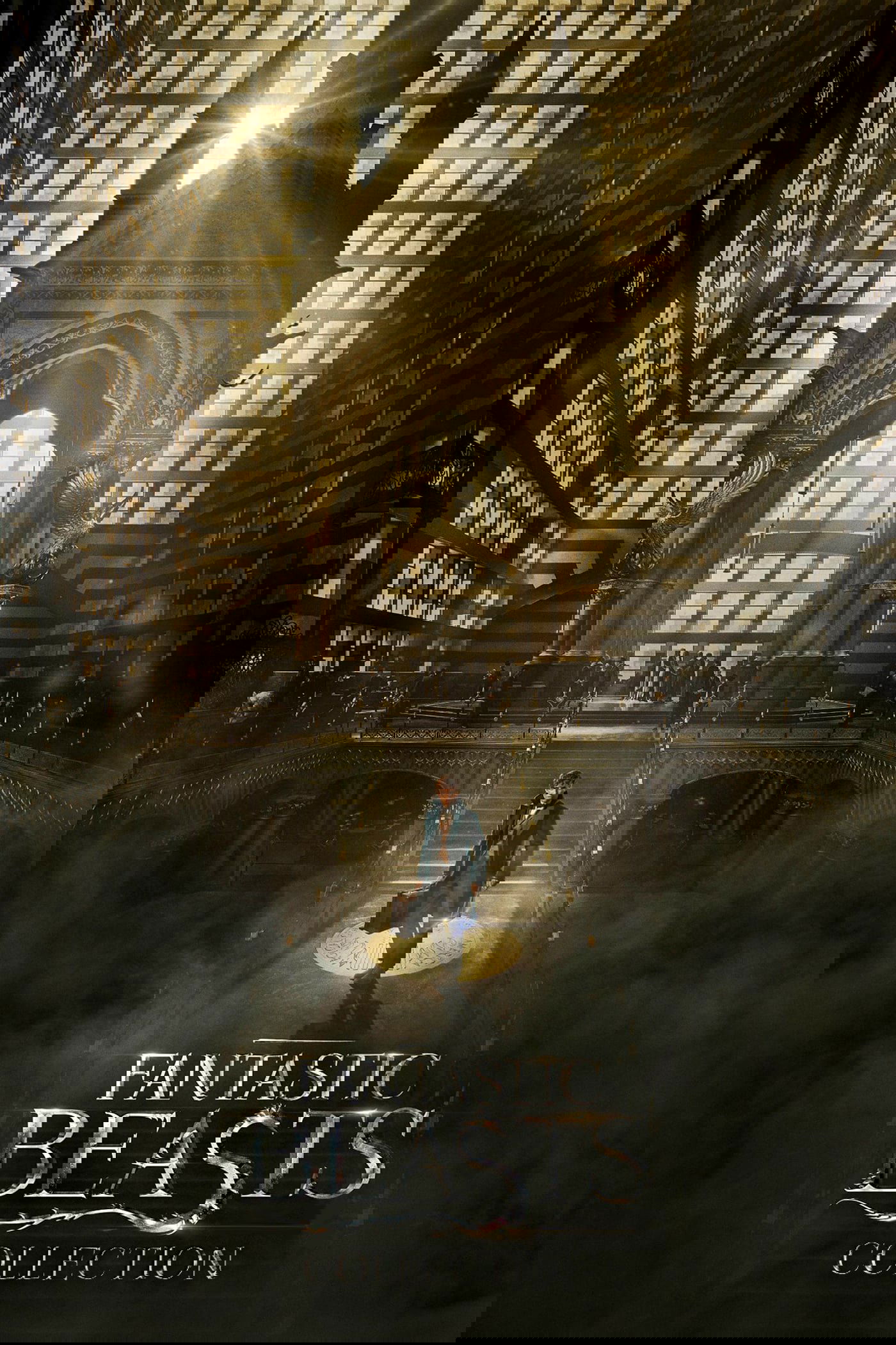 Movie Poster Data Base