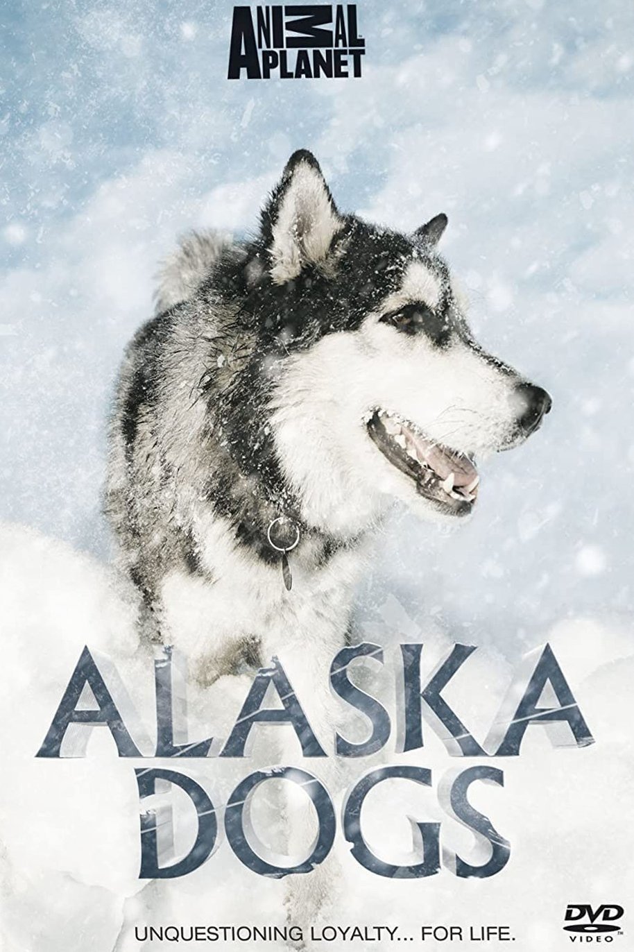 Alaska Dogs (2009) - Posters — The Movie Database (TMDB)