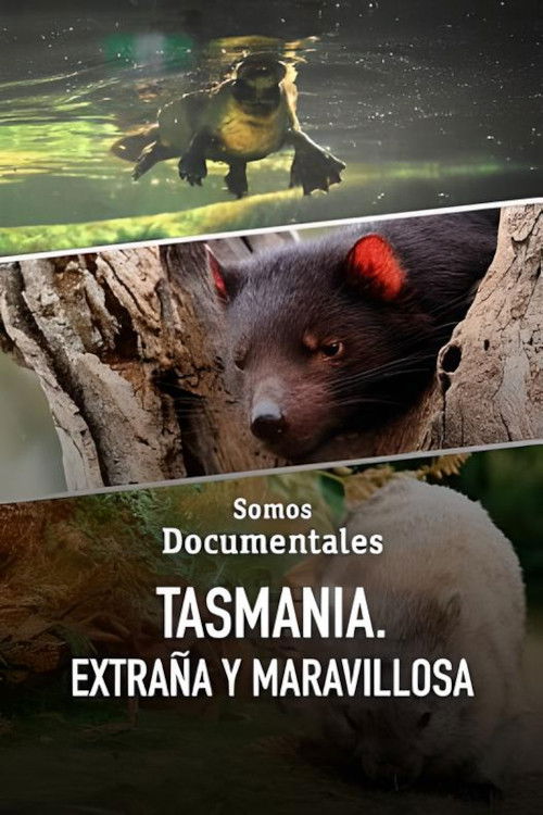 Tasmania: Weird and Wonderful (2019) - Posters — The Movie Database (TMDB)