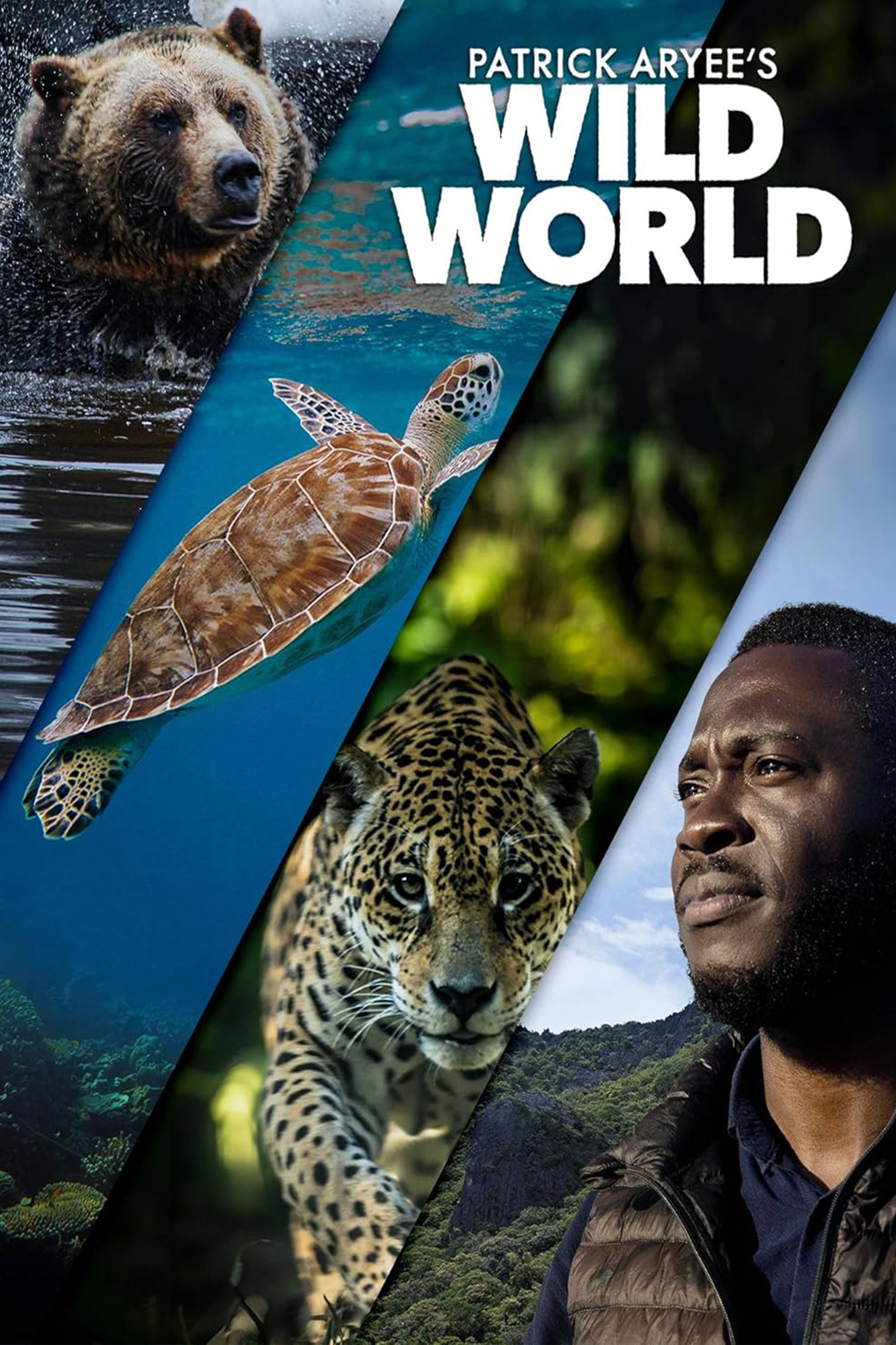 Patrick Aryee's Wild World (TV Series 2022-2022) - Posters — The Movie ...