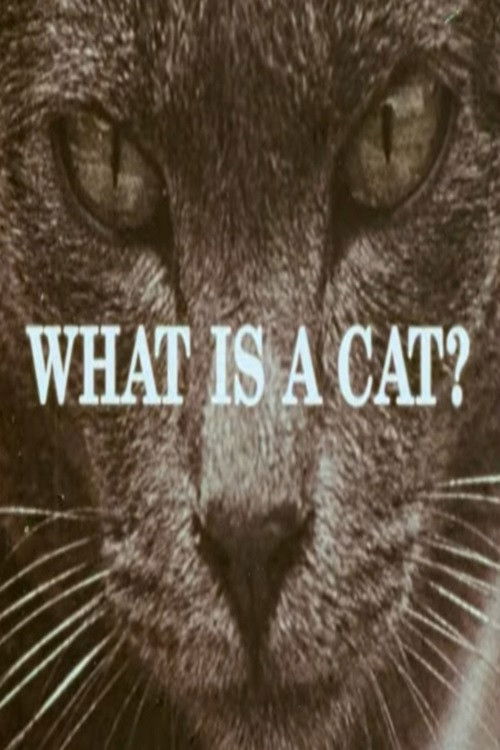 What Is a Cat? (1972) - Posters — The Movie Database (TMDB)